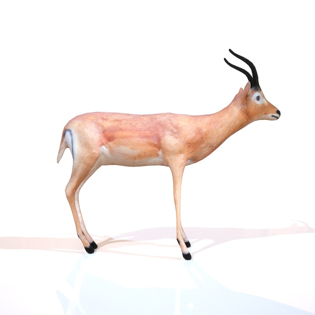 3d animal impala model