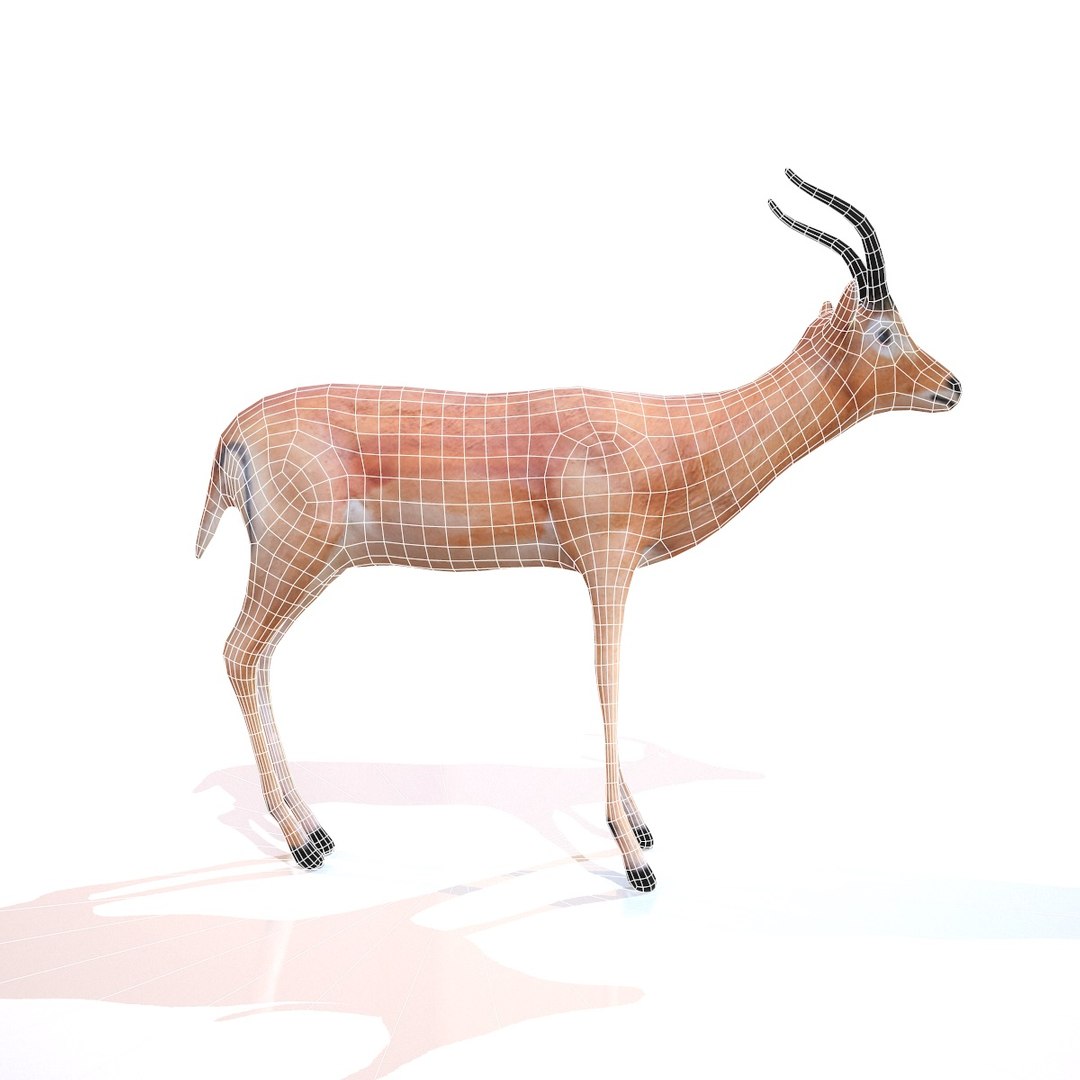 3d animal impala model