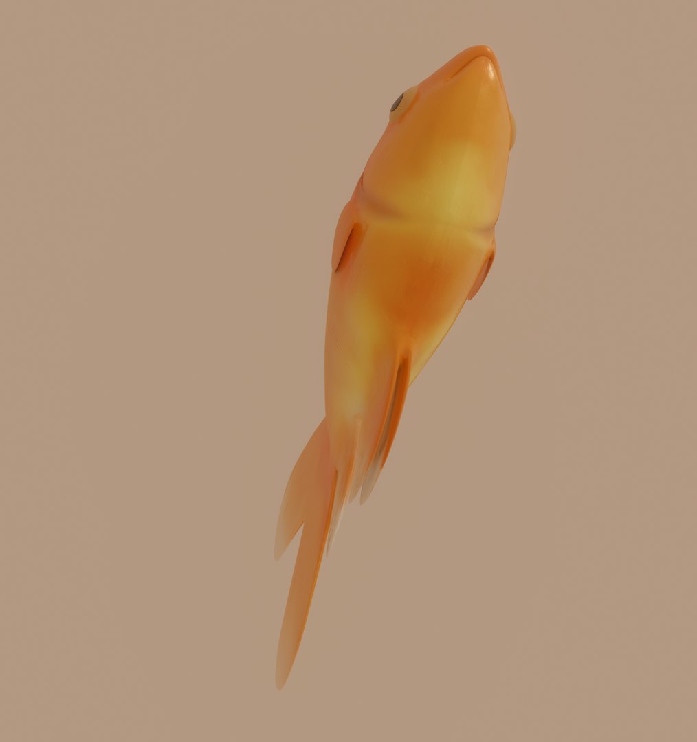 3D Model Goldfish Fish - TurboSquid 1611135
