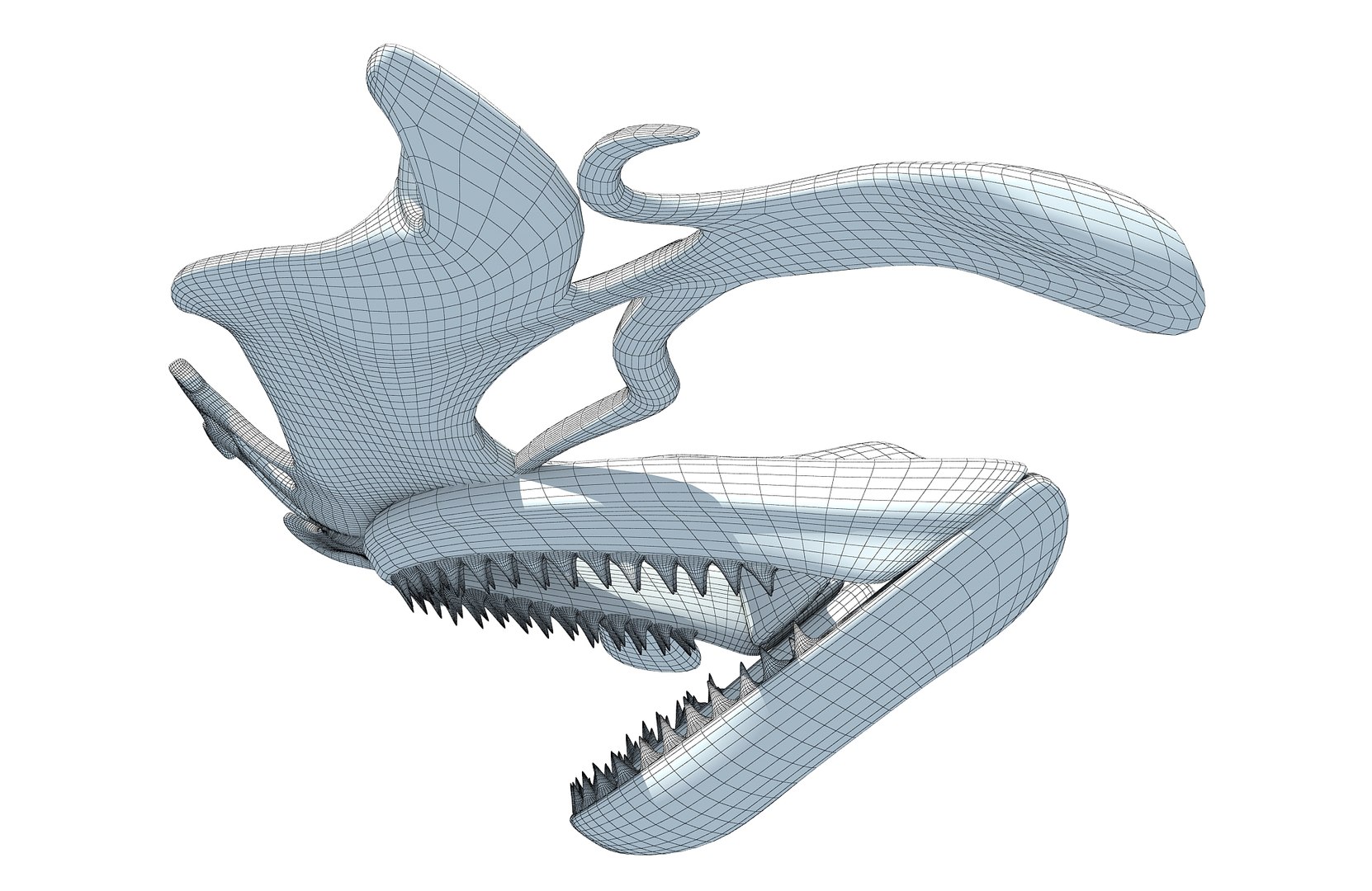 Hammerhead Shark Skull Skeleton 3D Model - TurboSquid 1170166