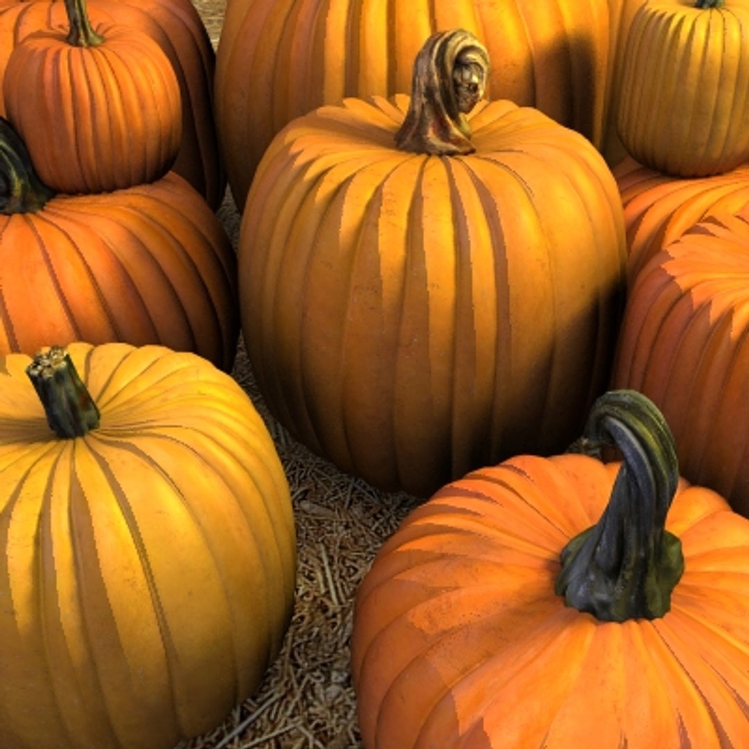 Set 16 Pumpkins 3d Model