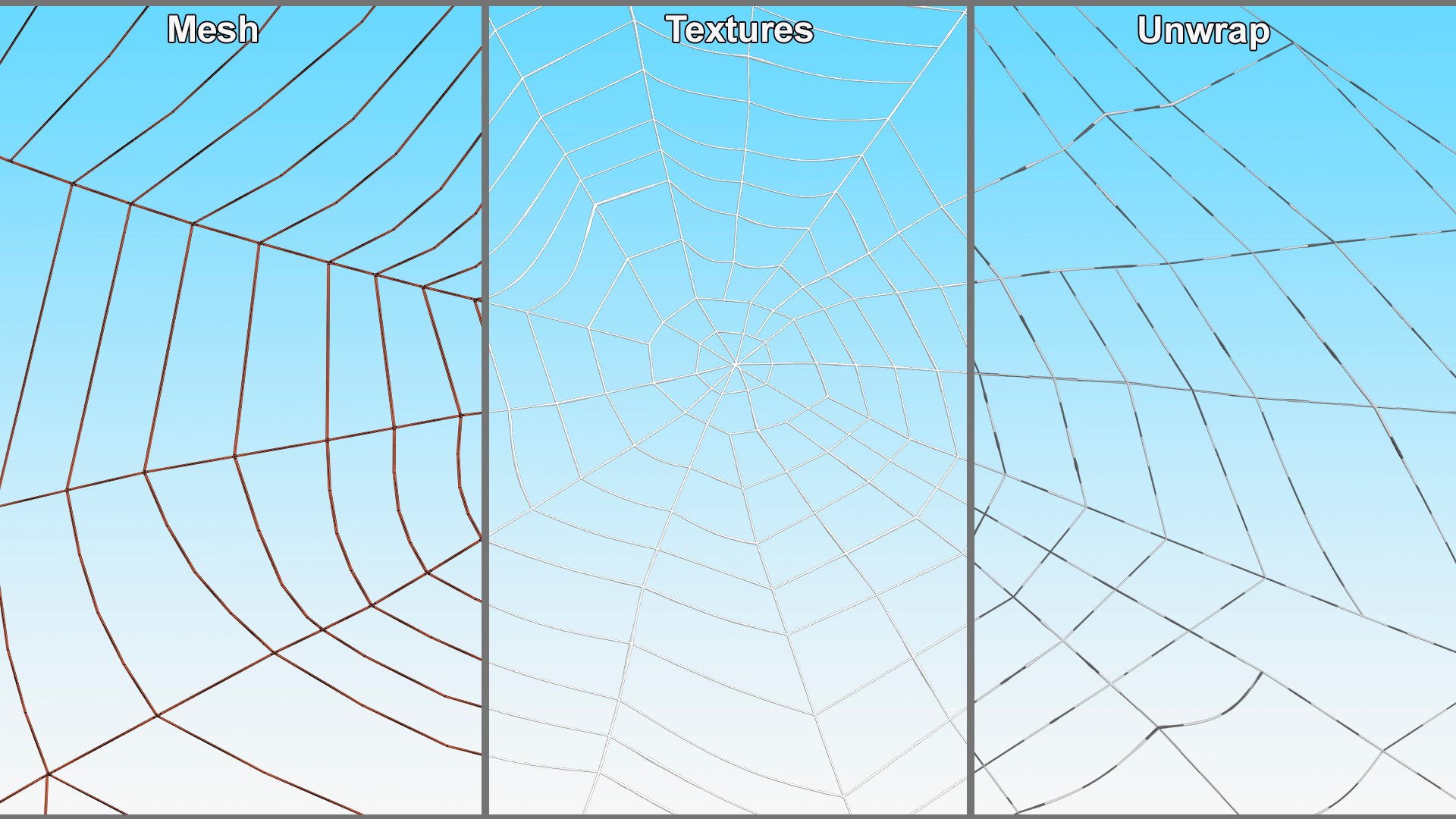 3D Triangular Shaped Spider Web - TurboSquid 2206607