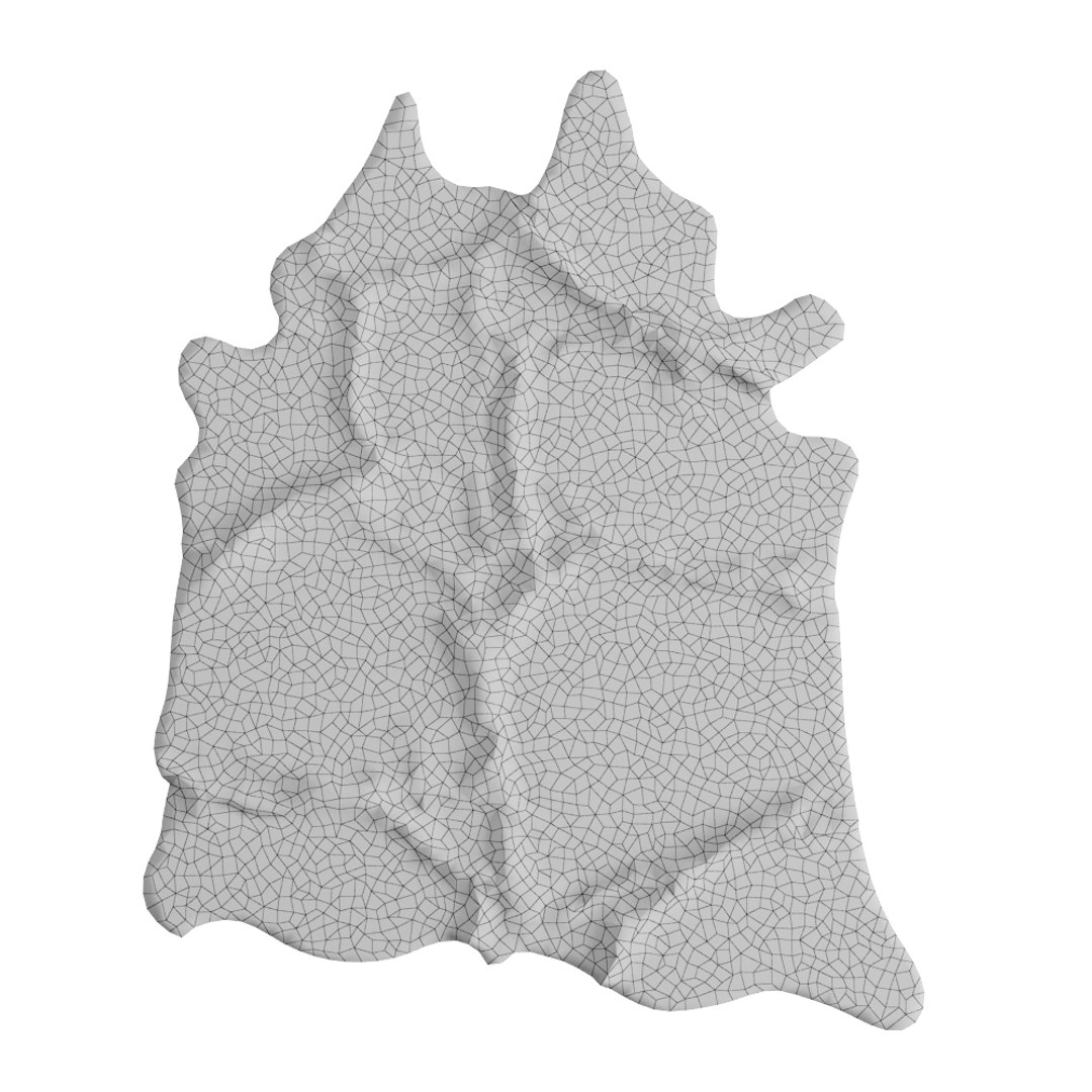 3D Animal skin rug 18 model - TurboSquid 1788596