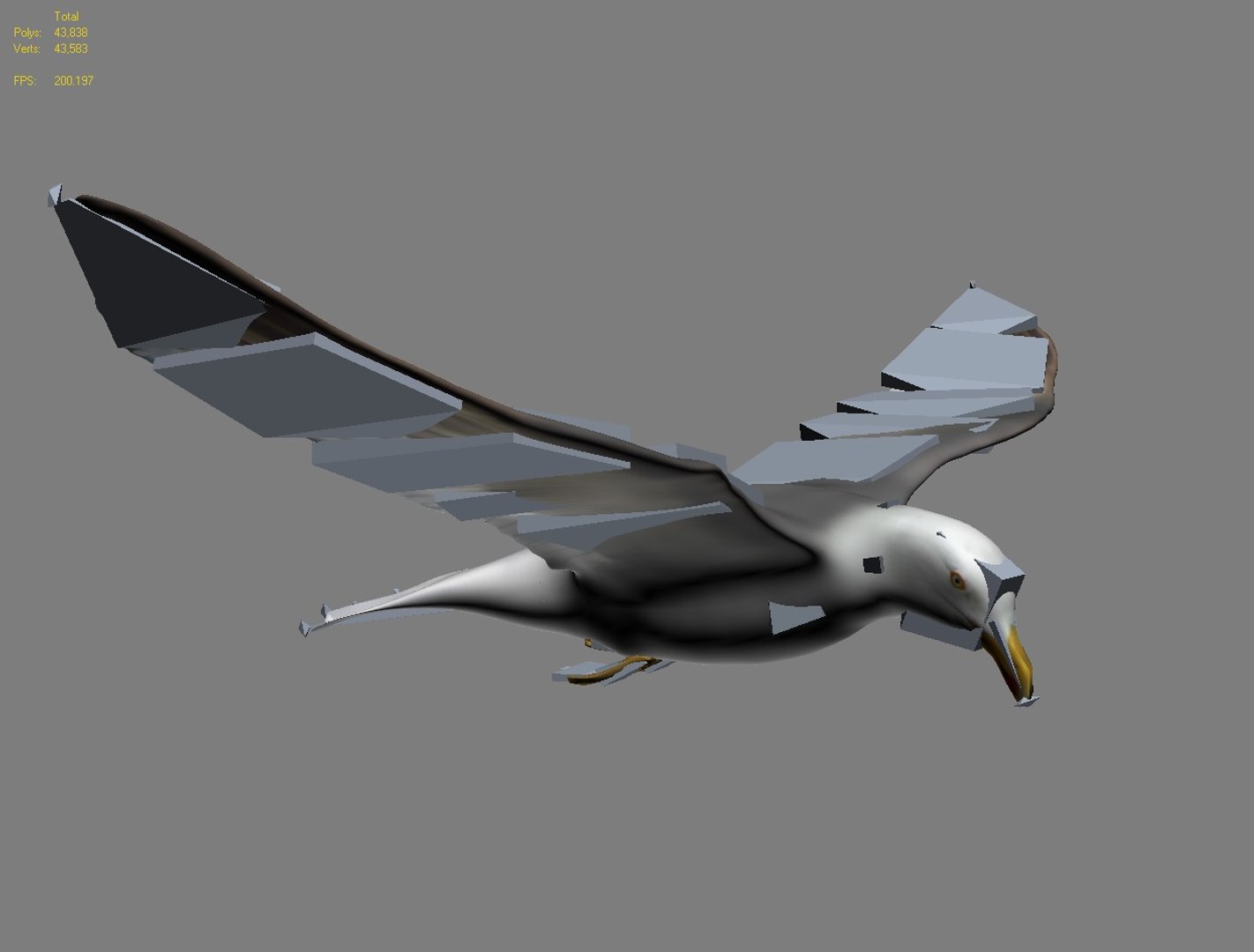 3d Seagull Animation Fully Rigged