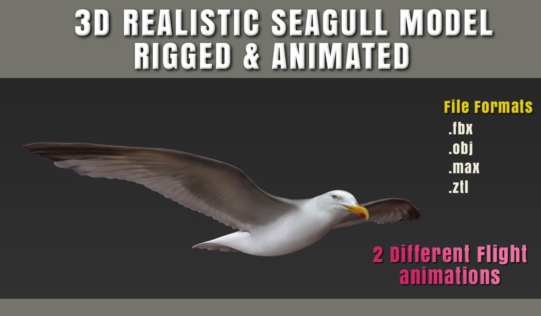 3d Seagull Animation Fully Rigged
