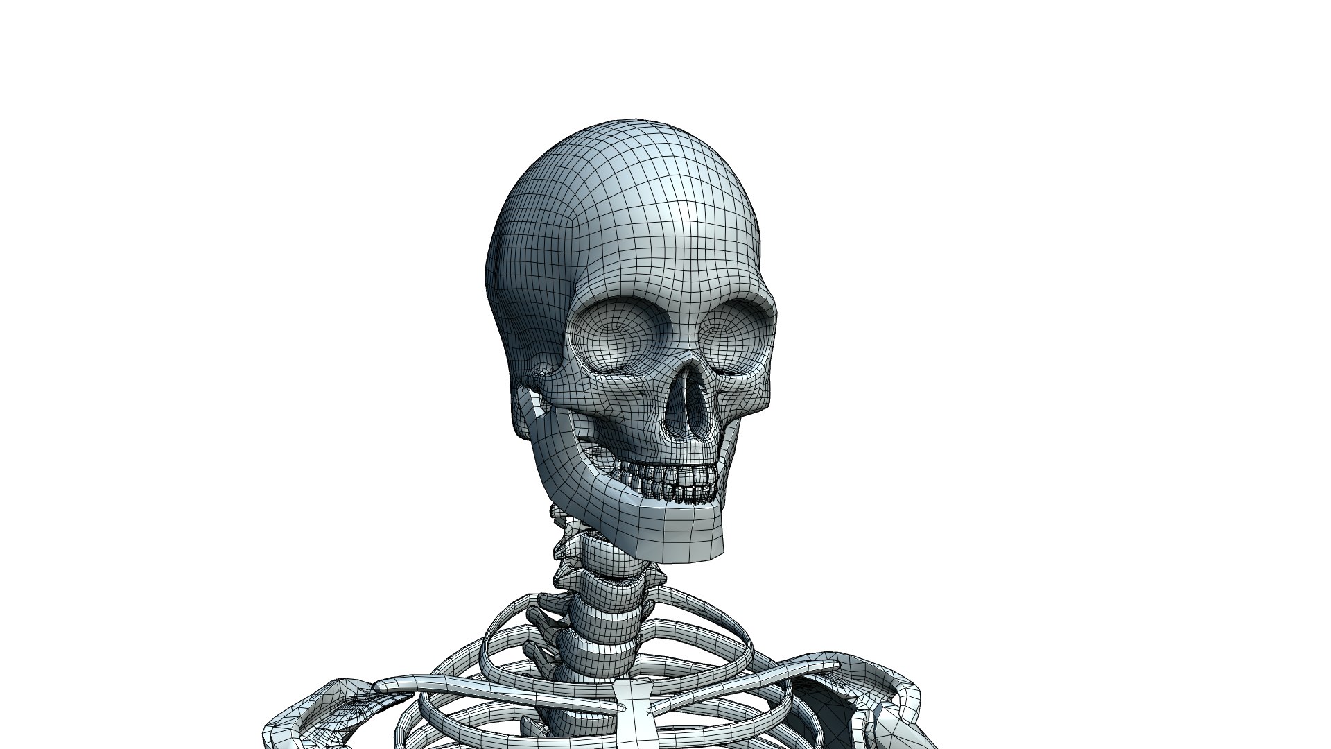 3D model Female Skeleton High-Quality 3D Model for Anatomy and ...