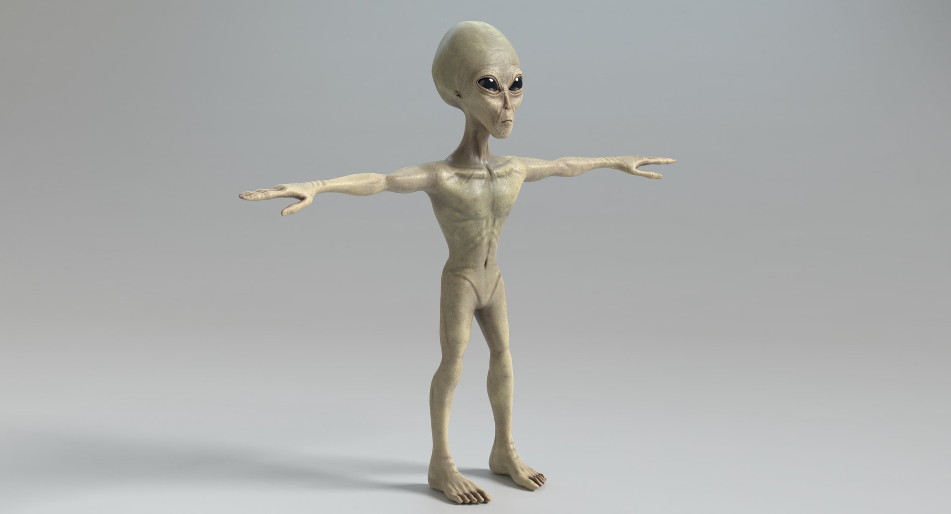 Alien Pbr Polys 3D Model - TurboSquid 1332316