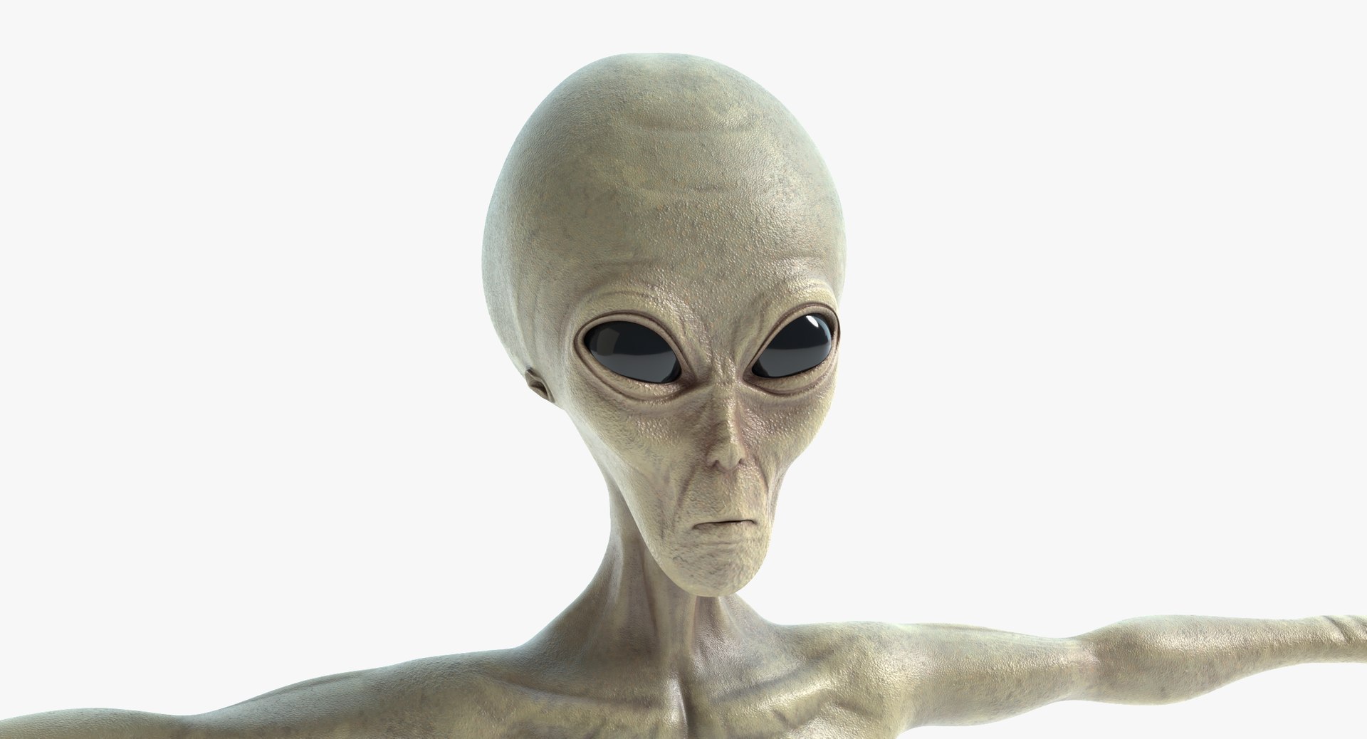 Alien Pbr Polys 3D Model - TurboSquid 1332316