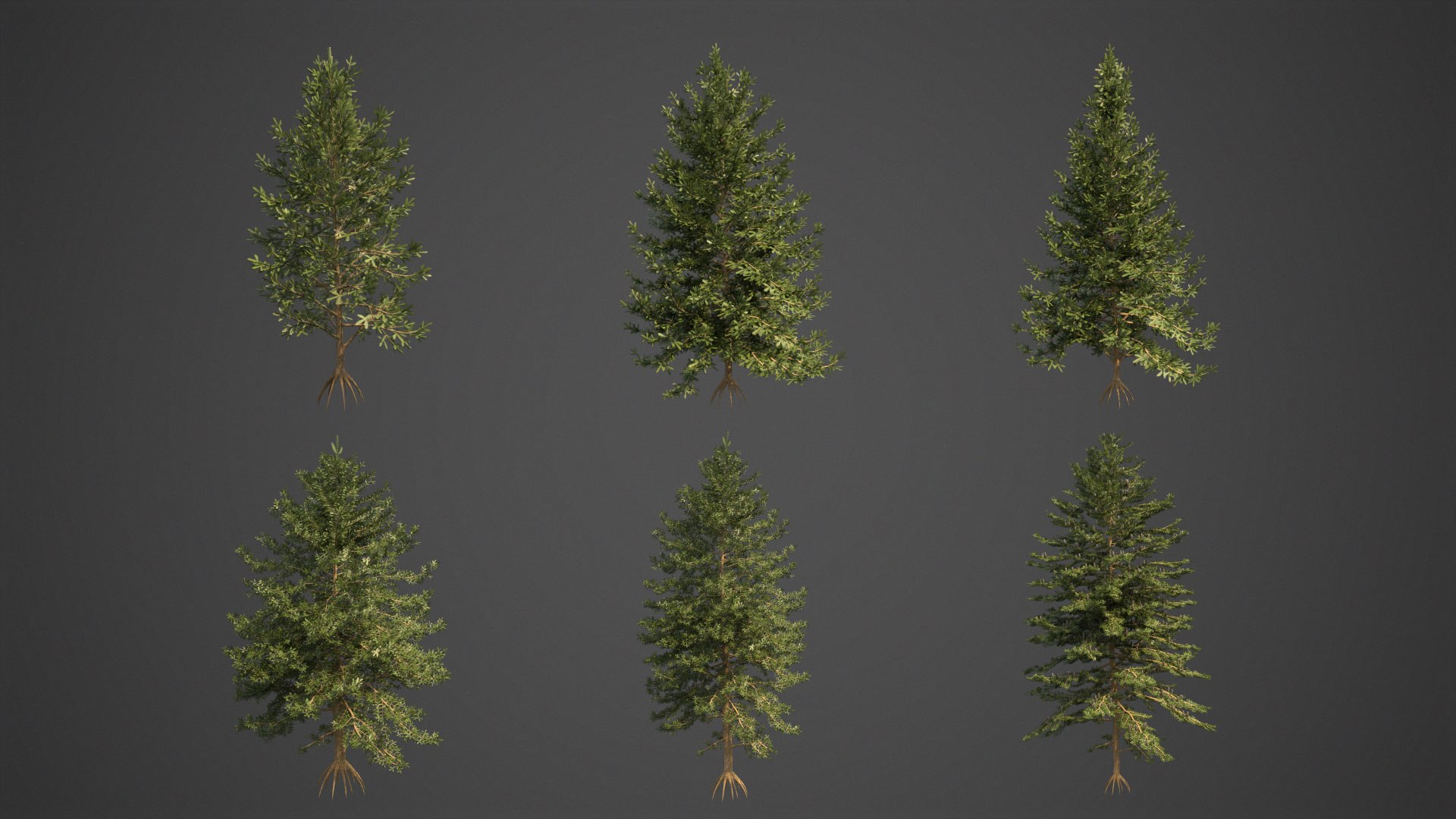 3D Tree Nature Conifer - TurboSquid 1676969