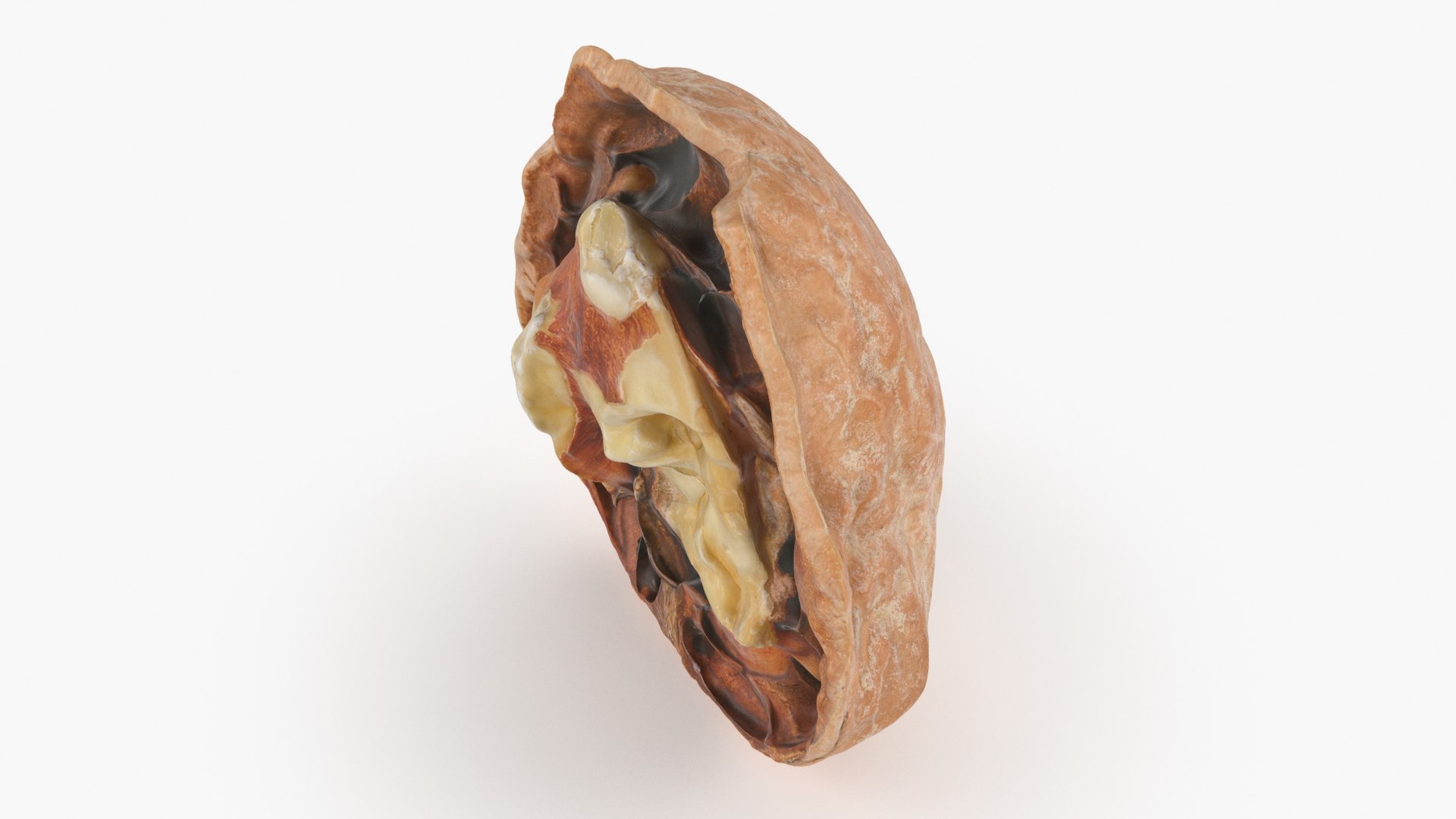 Open Half Walnut Shell 02 3D Model - TurboSquid 1968432