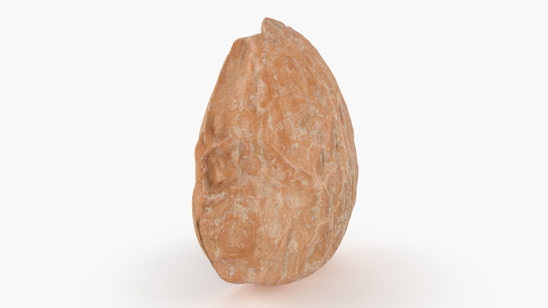 Open Half Walnut Shell 02 3D Model - TurboSquid 1968432