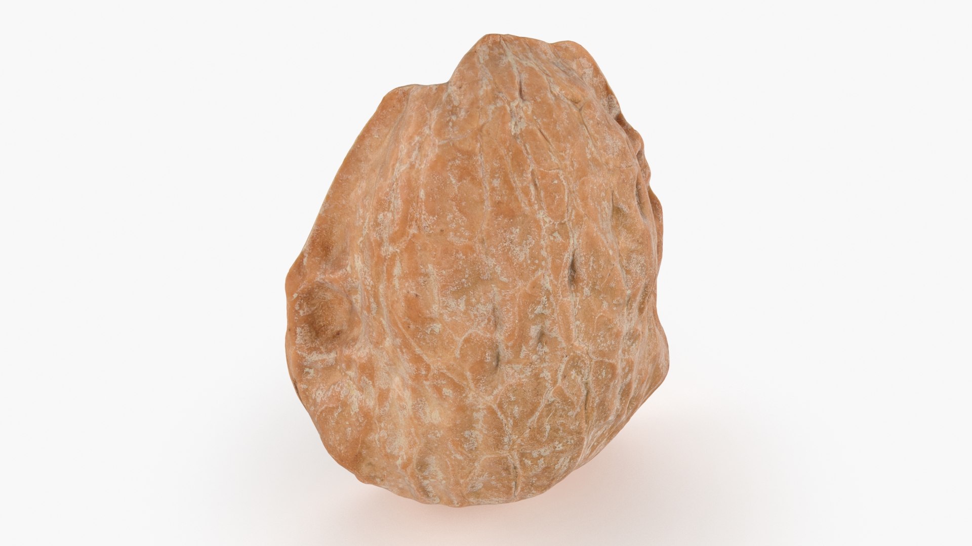 Open Half Walnut Shell 02 3D Model - TurboSquid 1968432