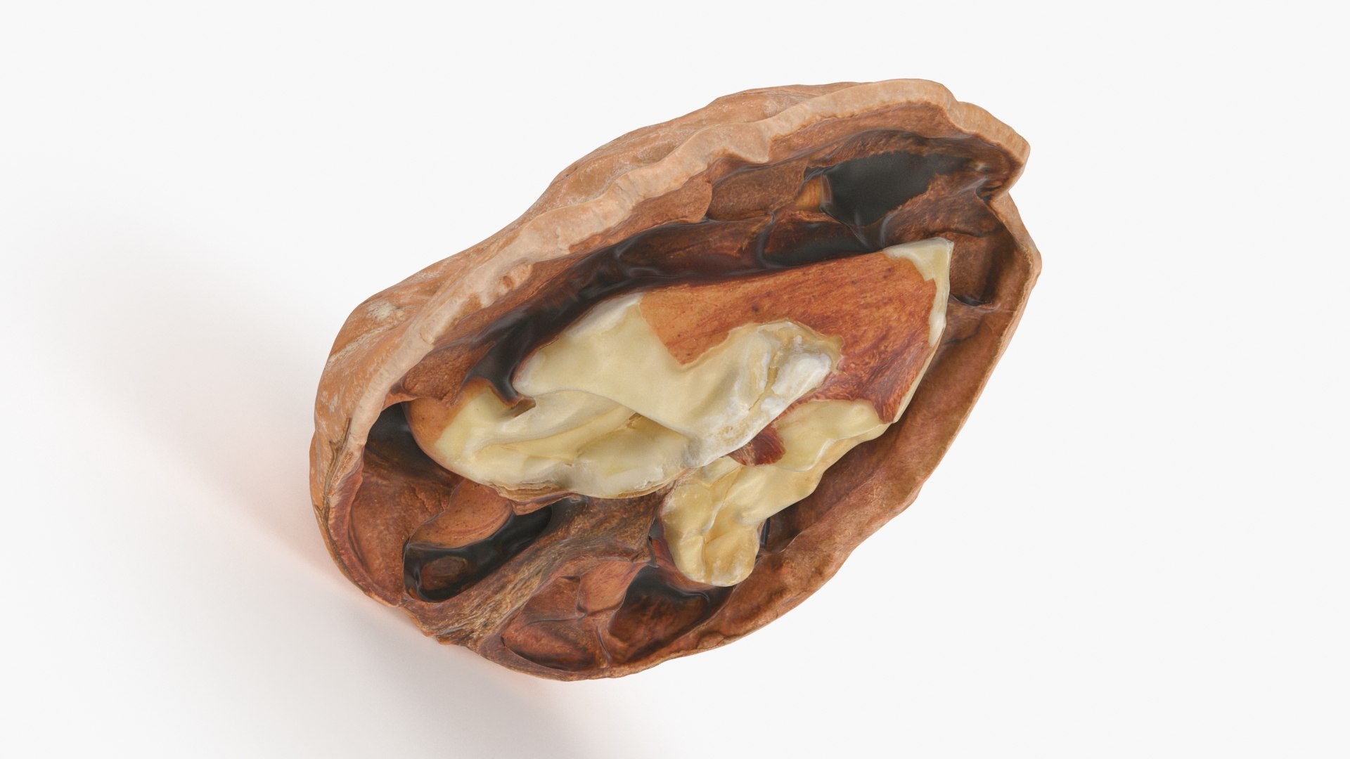 Open Half Walnut Shell 02 3D Model - TurboSquid 1968432