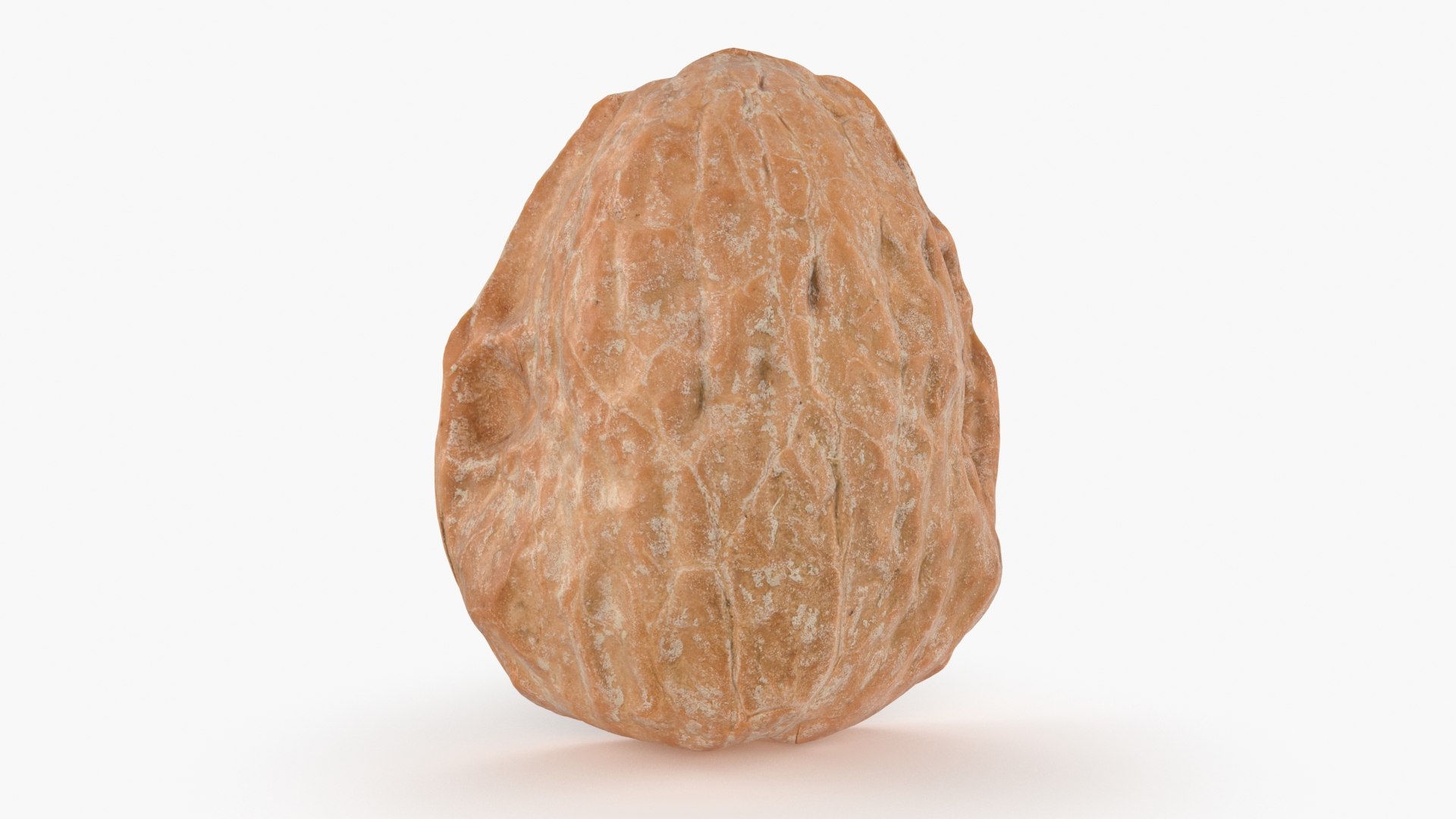 Open Half Walnut Shell 02 3D Model - TurboSquid 1968432