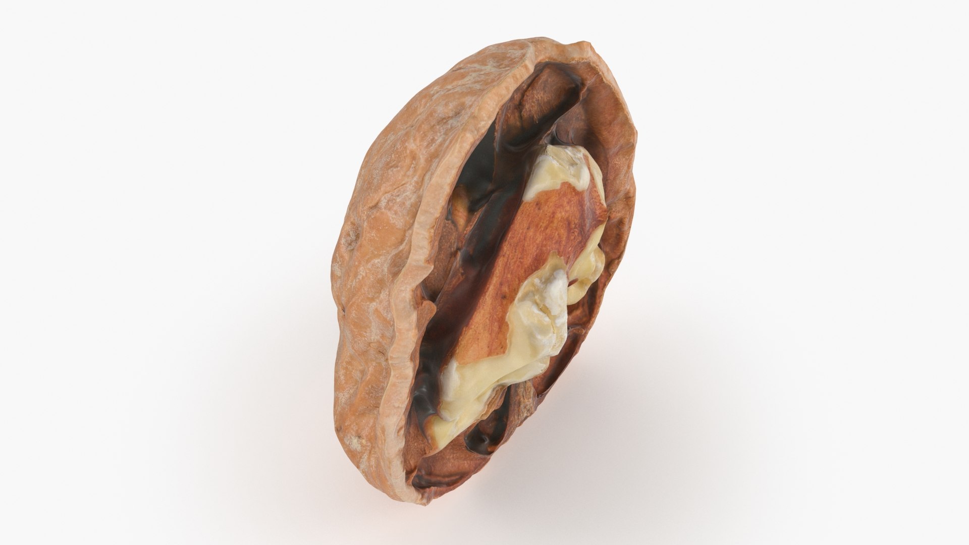 Open Half Walnut Shell 02 3D Model - TurboSquid 1968432