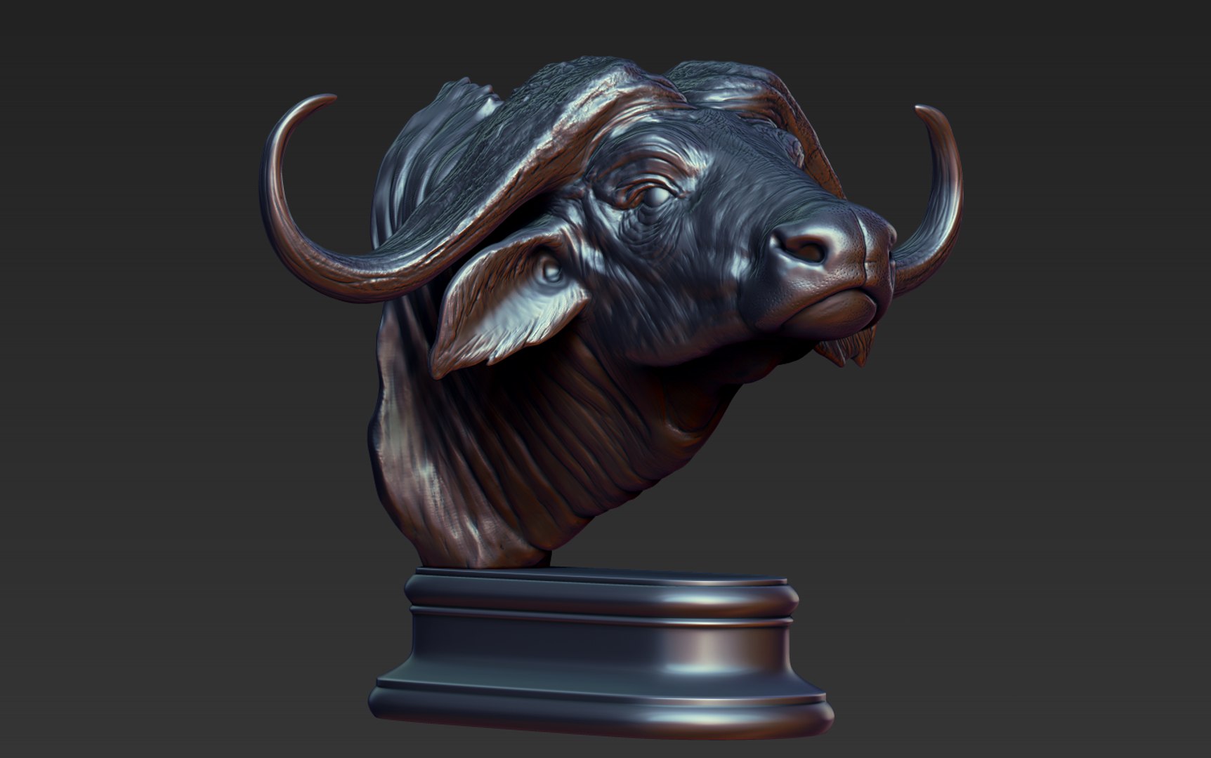 3D Model Buffalo African Head - TurboSquid 1978168