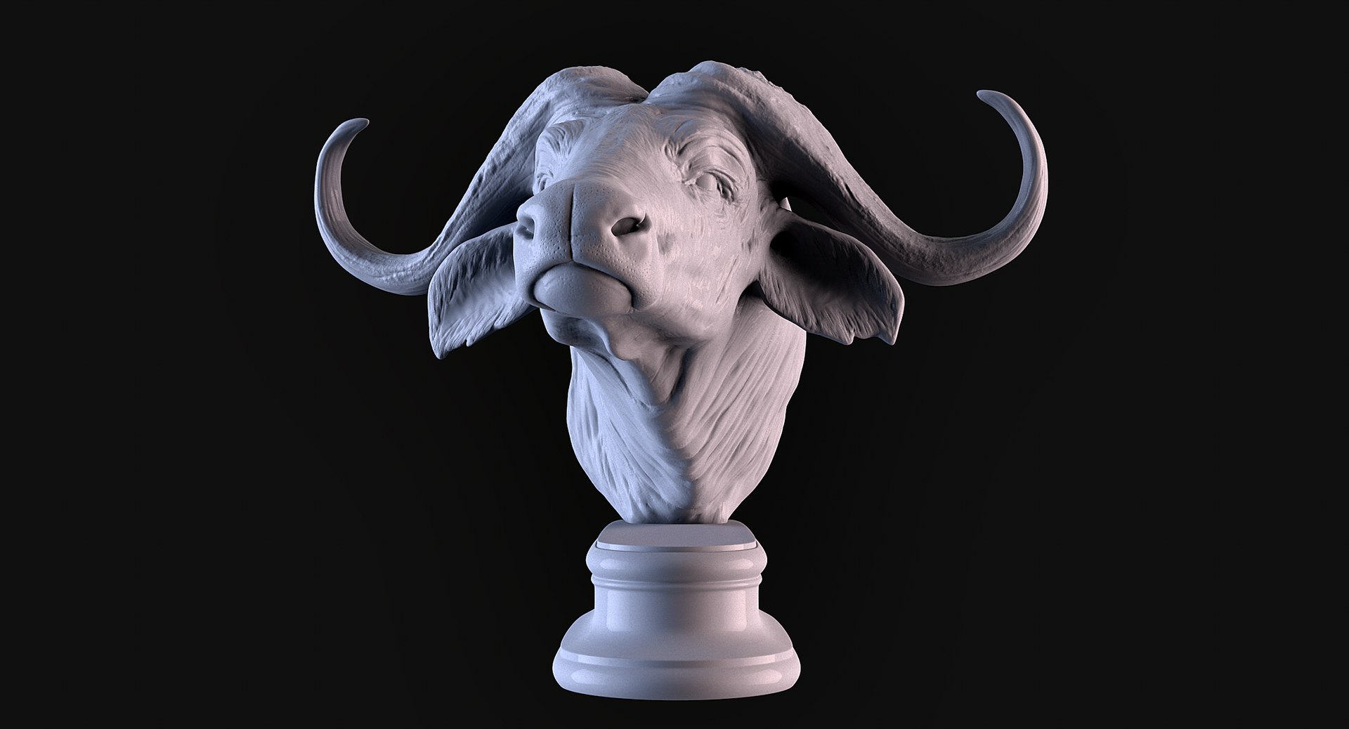 3D Model Buffalo African Head - TurboSquid 1978168