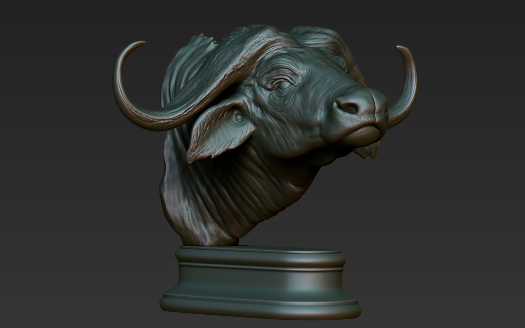 3D Model Buffalo African Head - TurboSquid 1978168