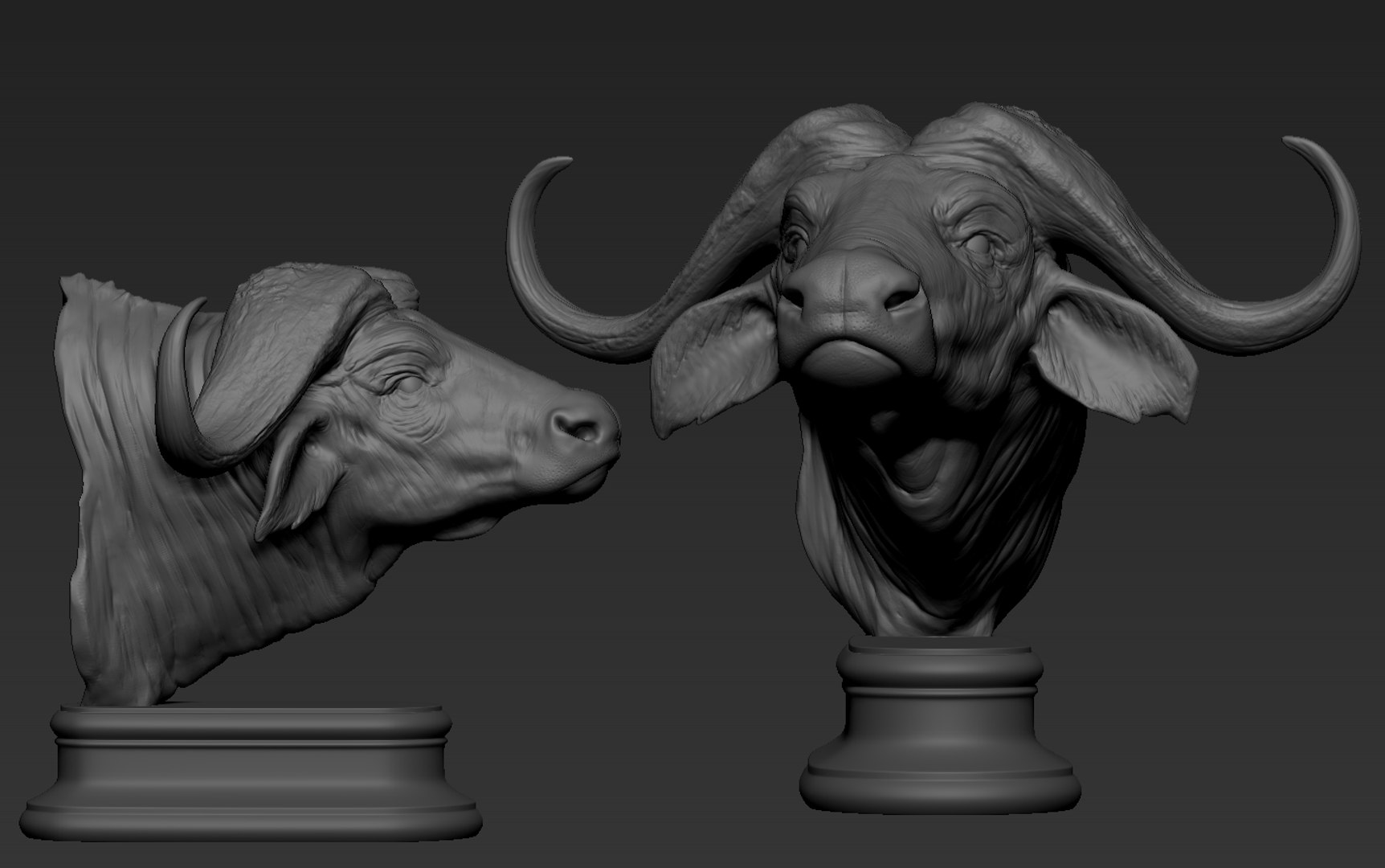 3D Model Buffalo African Head - TurboSquid 1978168