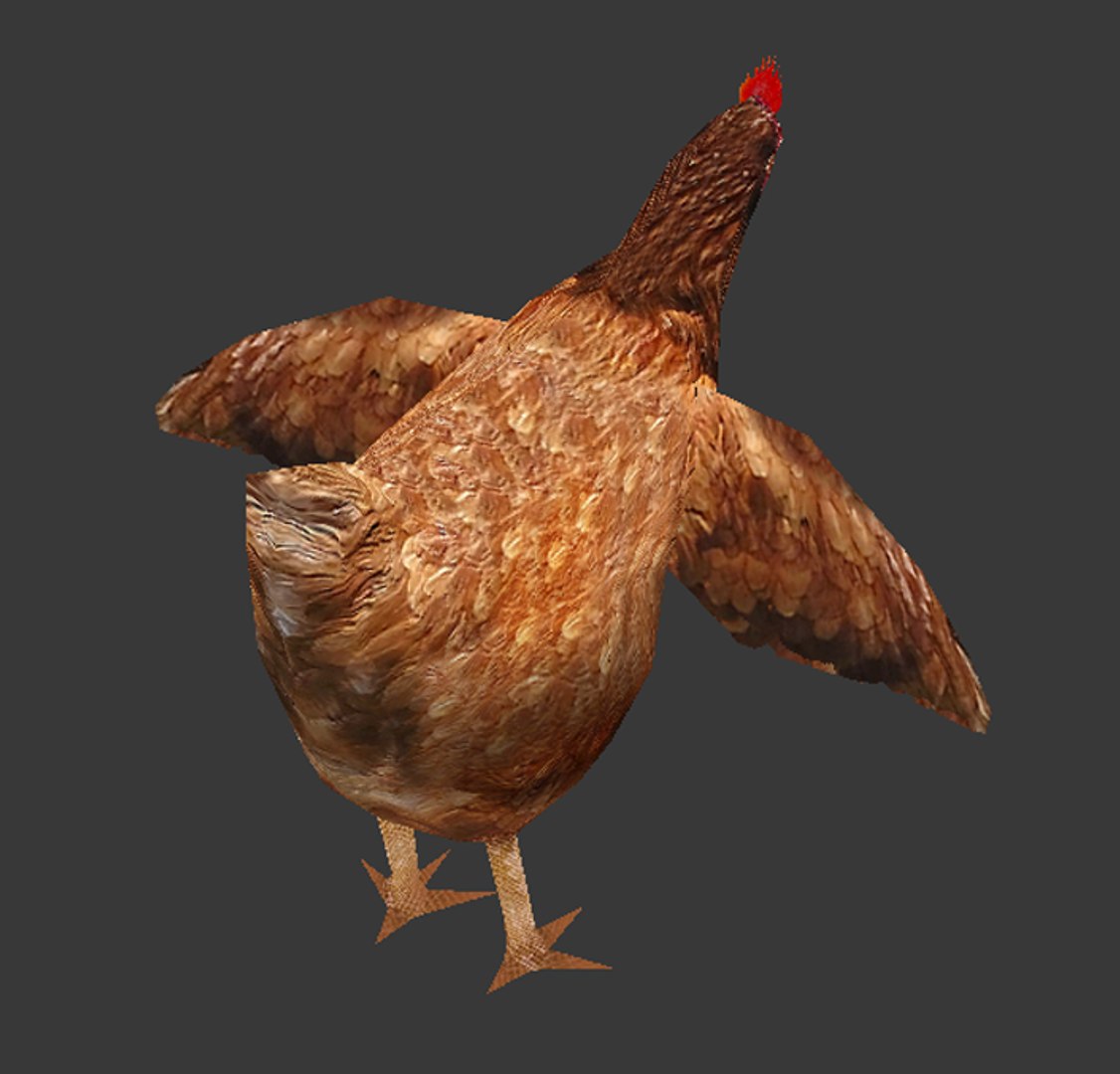 3d Chicken Chick