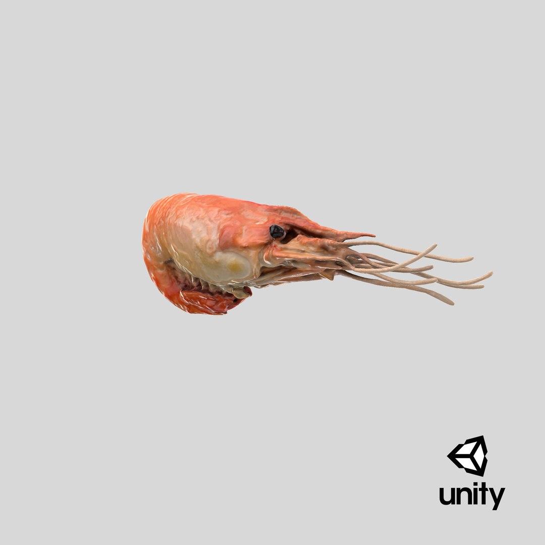 3D Shrimp(1) - TurboSquid 2106834