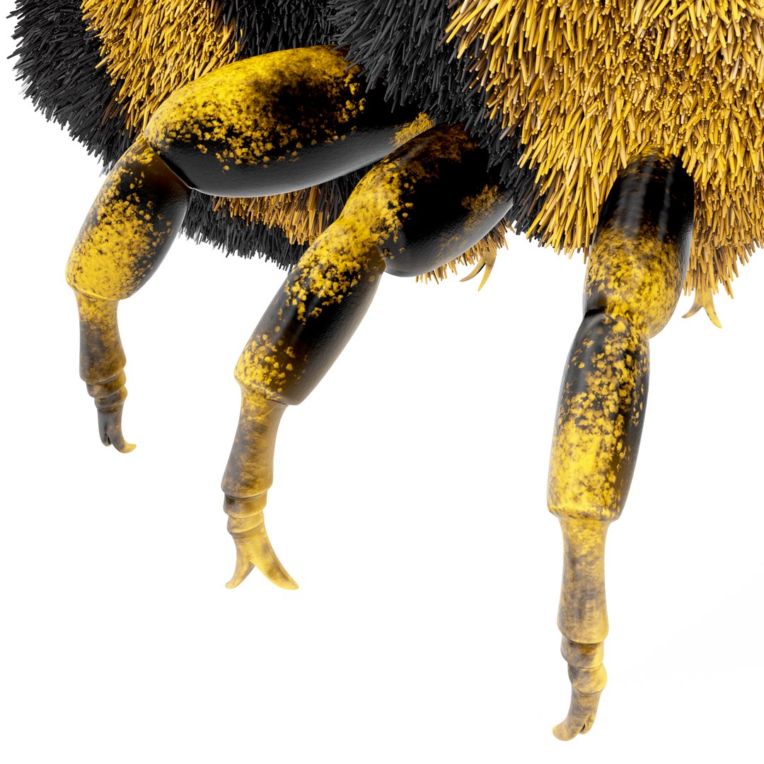 3D Bumblebee Cartoon Rigged Animation - TurboSquid 1658078