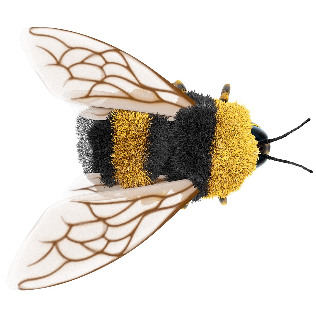 3D Bumblebee Cartoon Rigged Animation - TurboSquid 1658078