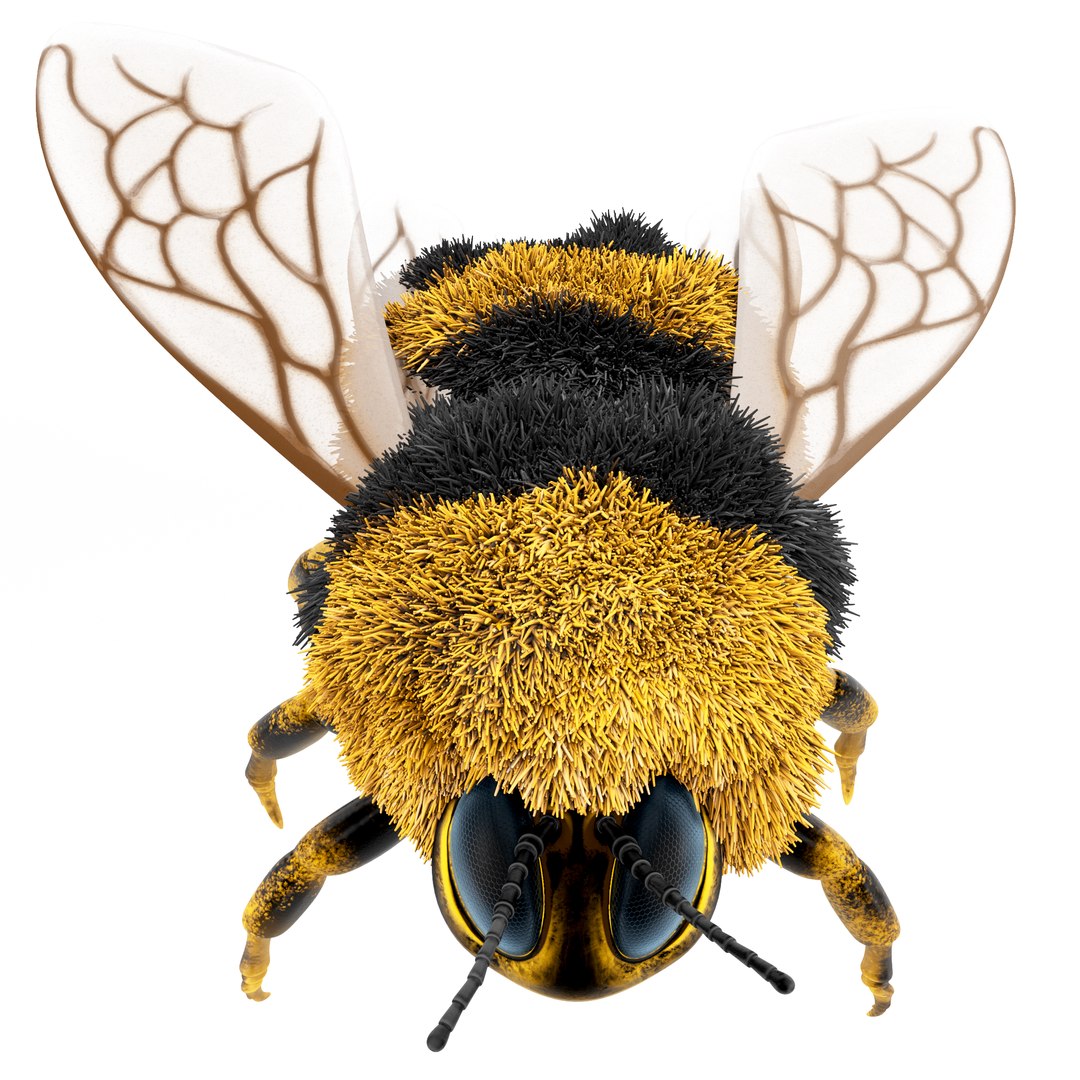 3D Bumblebee Cartoon Rigged Animation - TurboSquid 1658078