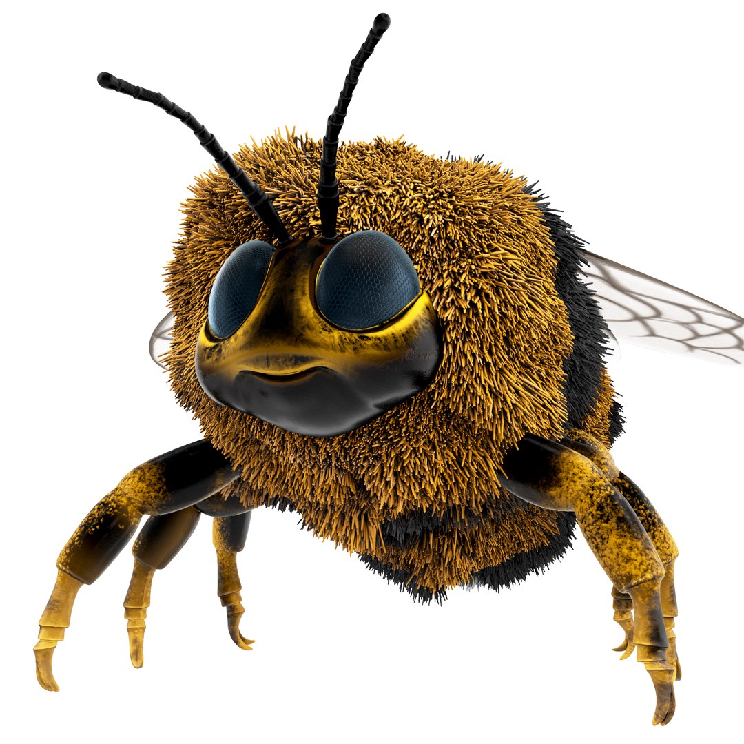 3D Bumblebee Cartoon Rigged Animation - TurboSquid 1658078