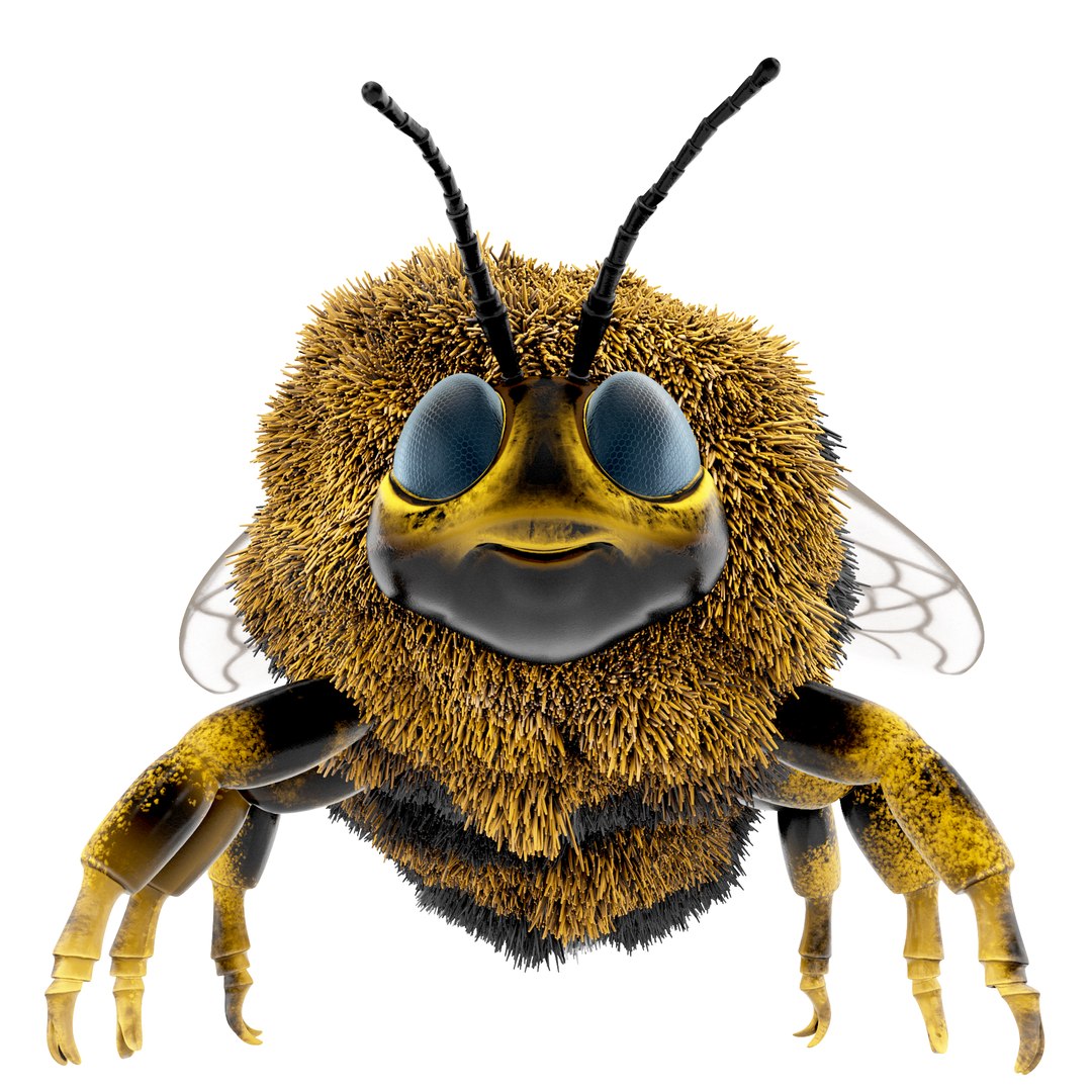 3D Bumblebee Cartoon Rigged Animation - TurboSquid 1658078