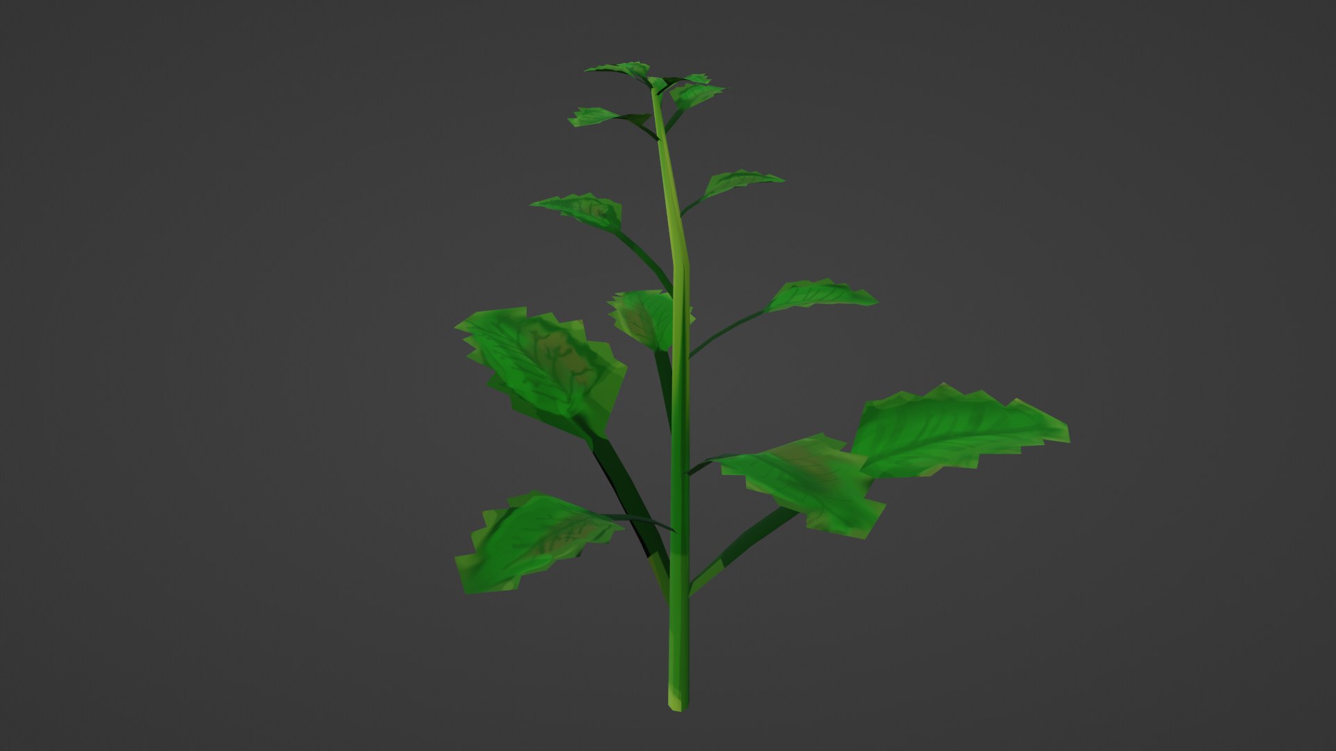 3D Forest Foliage Collection Model - TurboSquid 1939454