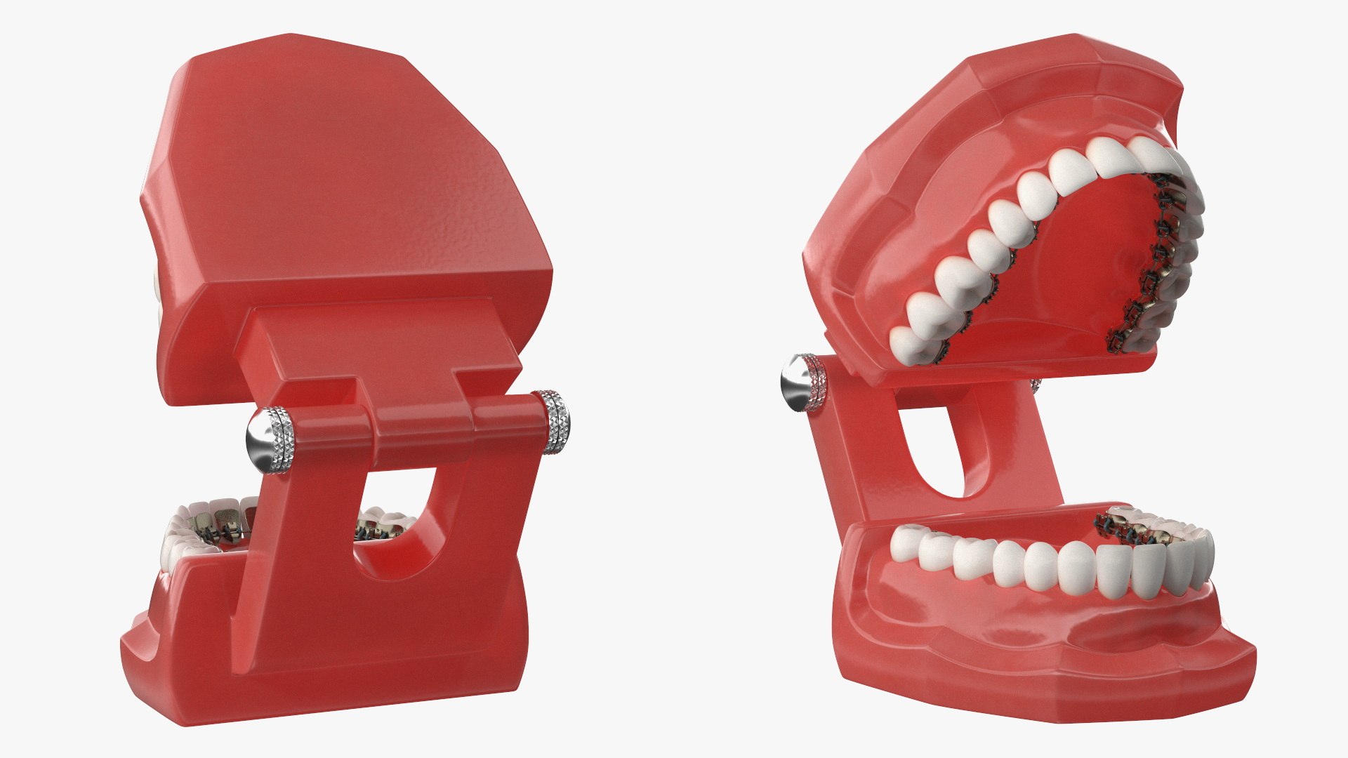 Lingual Braces On Typodont Teeth Model For 3D Print 3D Model ...