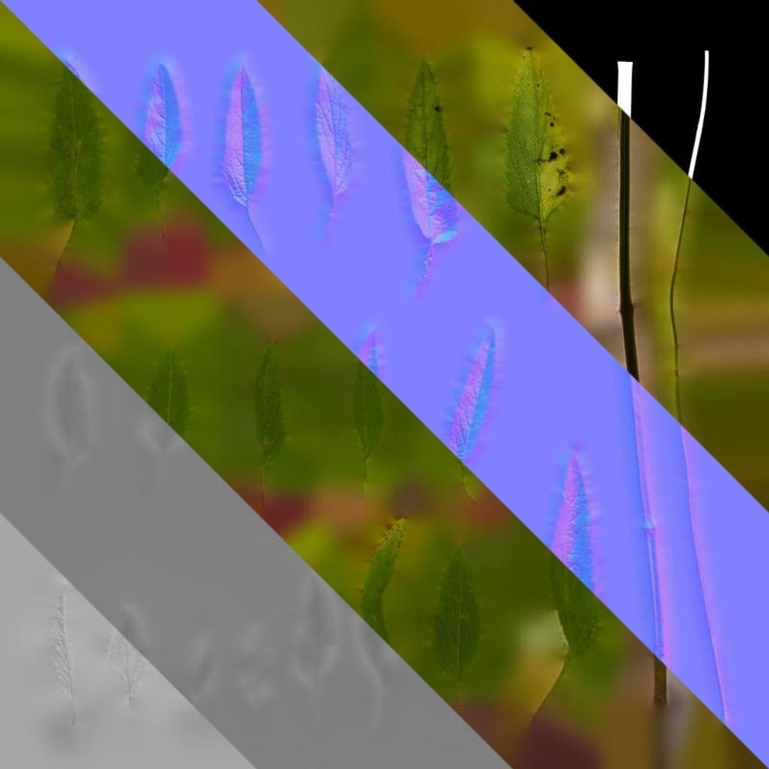 Anydrafts Salvia Jamensis Antonio Leaf 01 Textures Model - TurboSquid ...