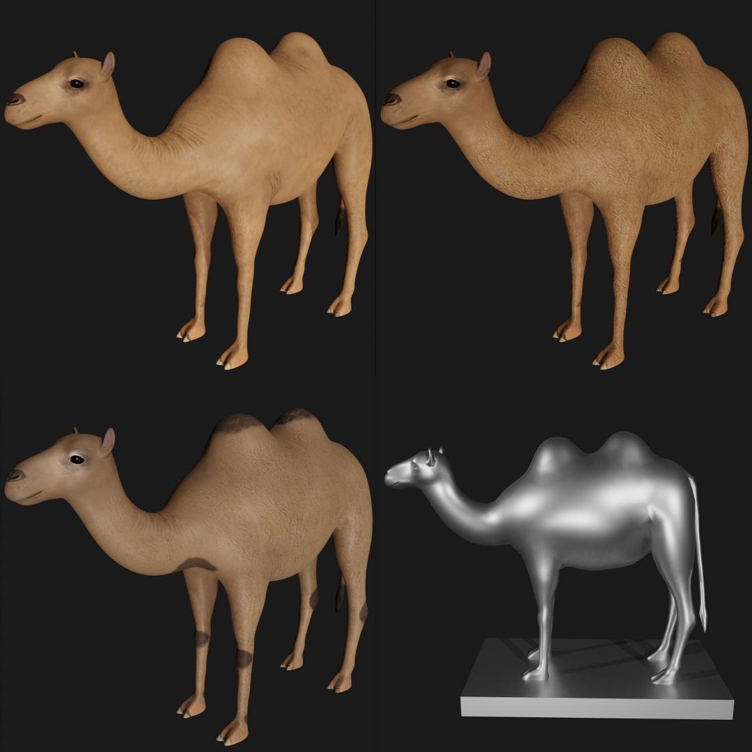 3D model camel statue - TurboSquid 1672228