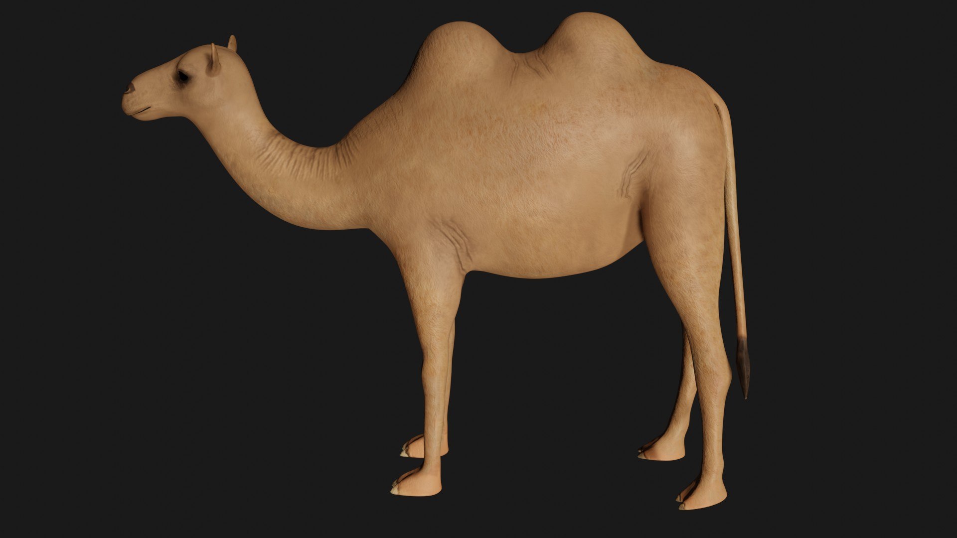 3D model camel statue - TurboSquid 1672228