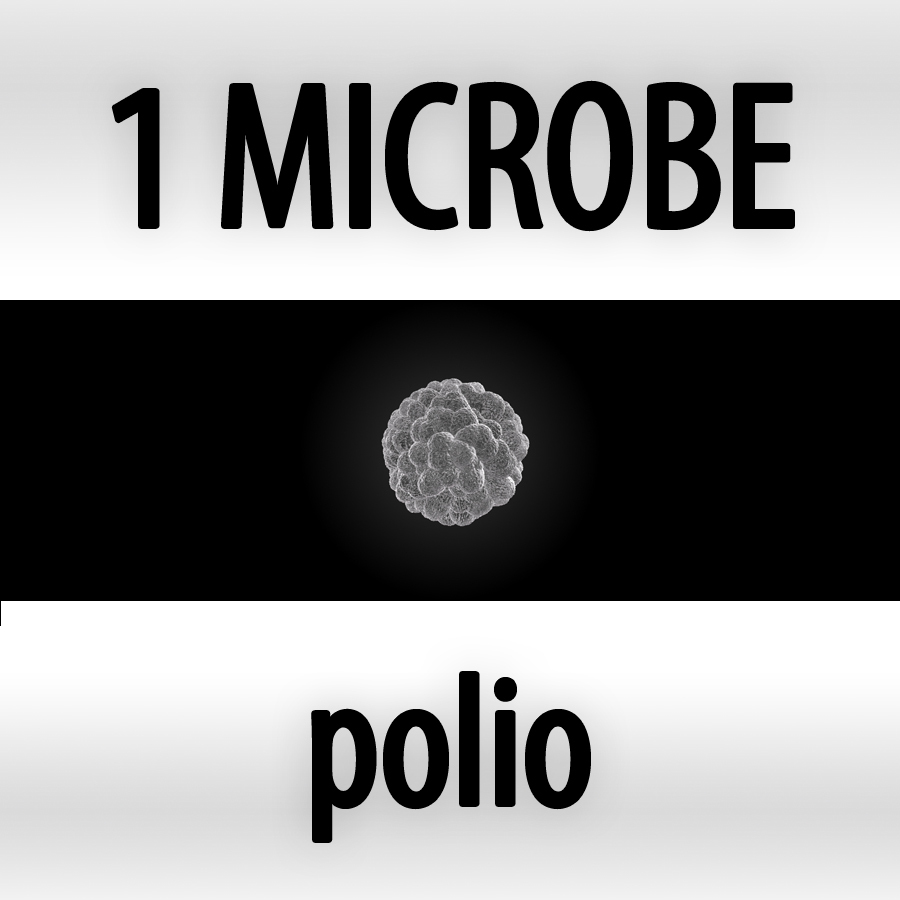 3d microbes micro organisms