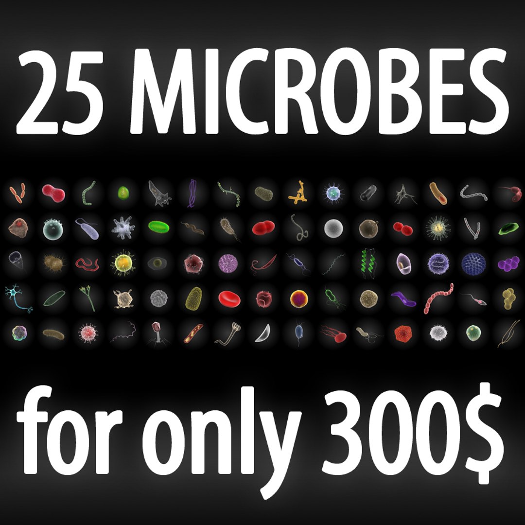 3d Microbes Micro Organisms
