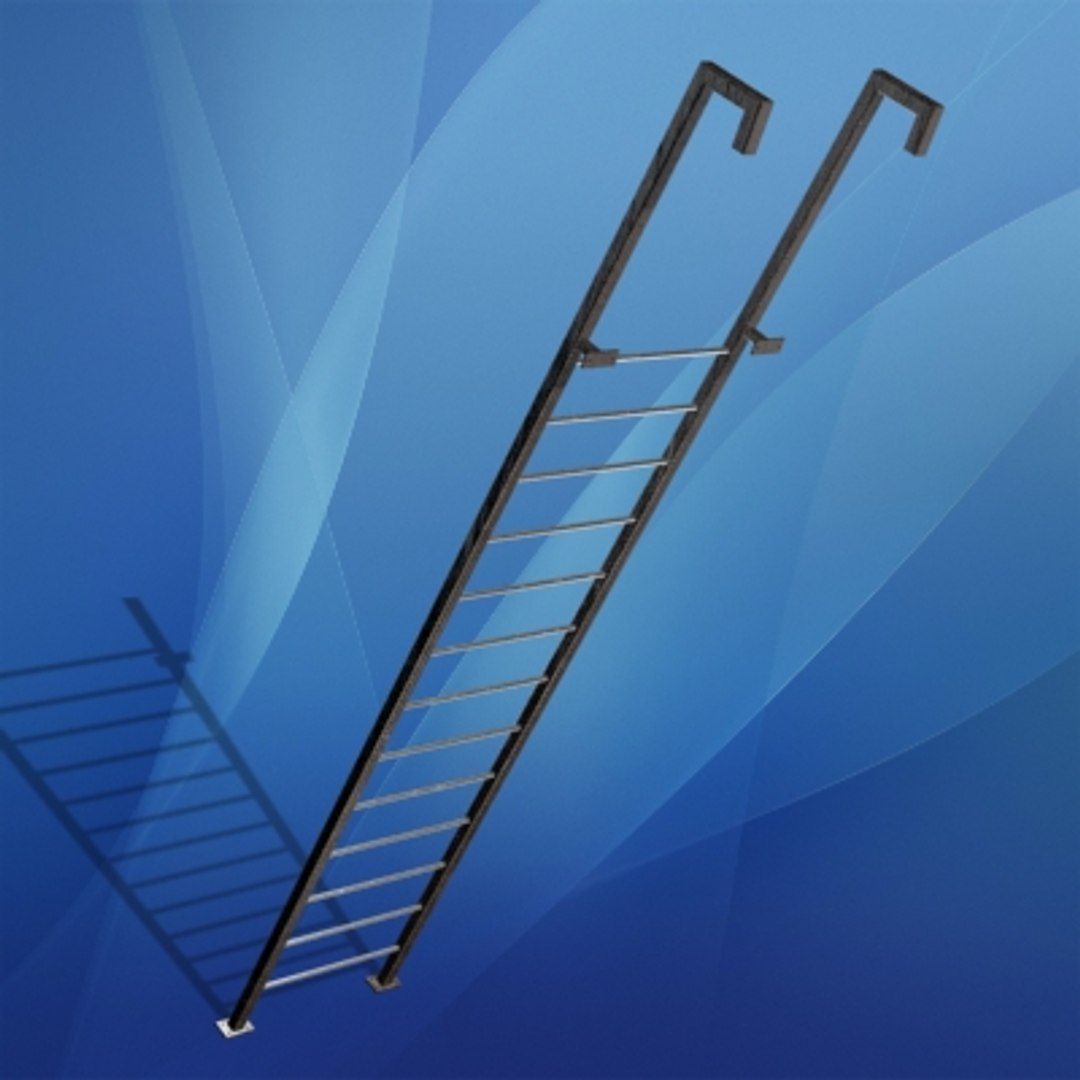 3d Fixed Ladder Model
