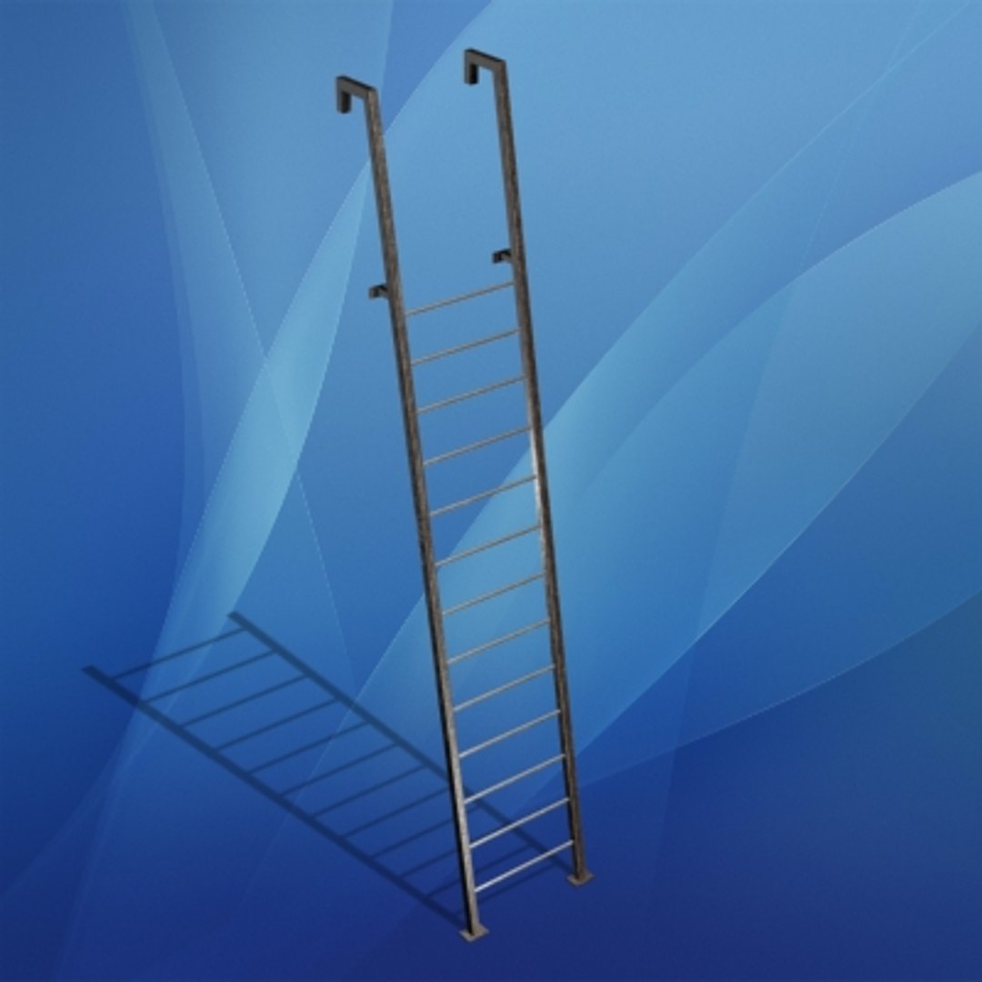 3d Fixed Ladder Model