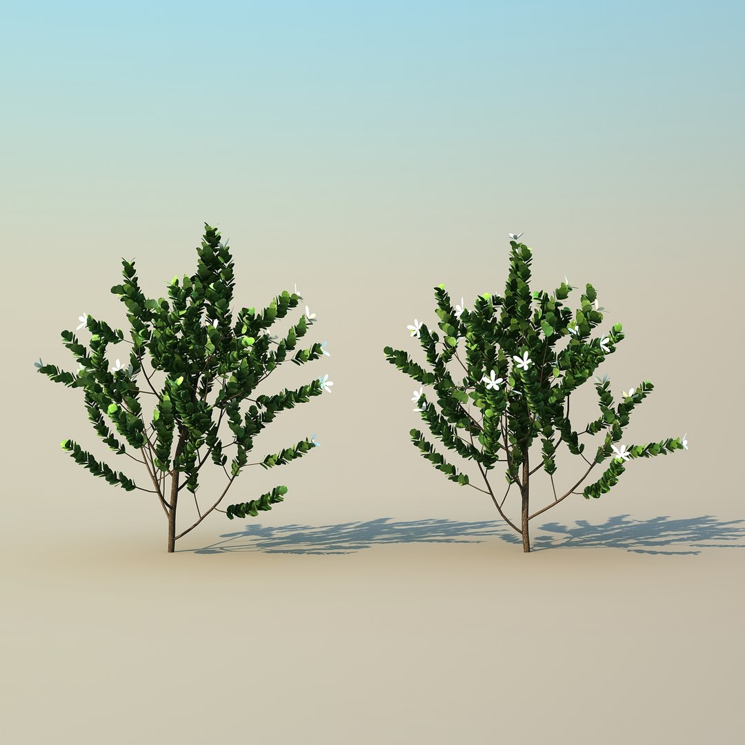 3d model tree scatter