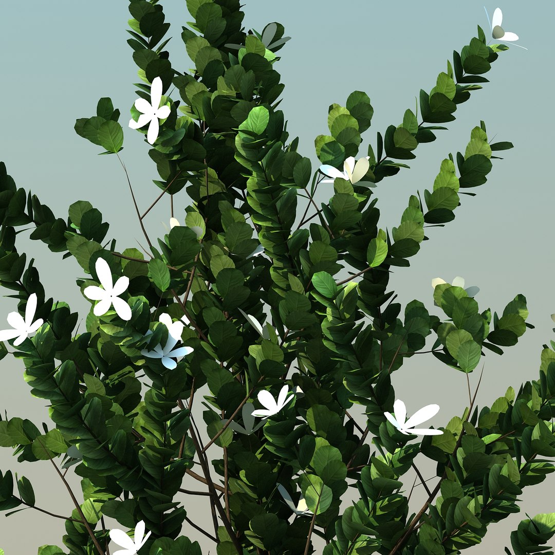 3d model tree scatter