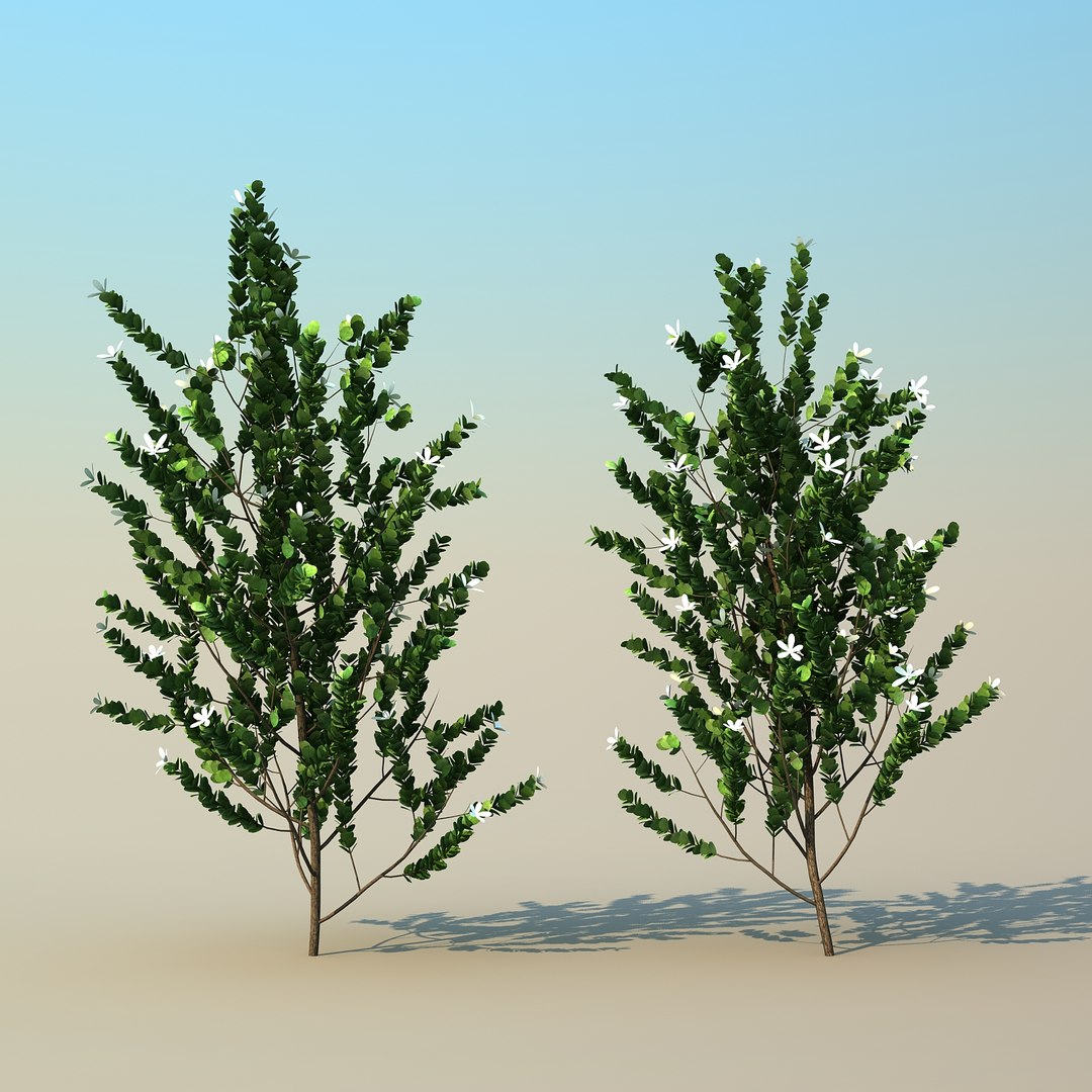 3d model tree scatter