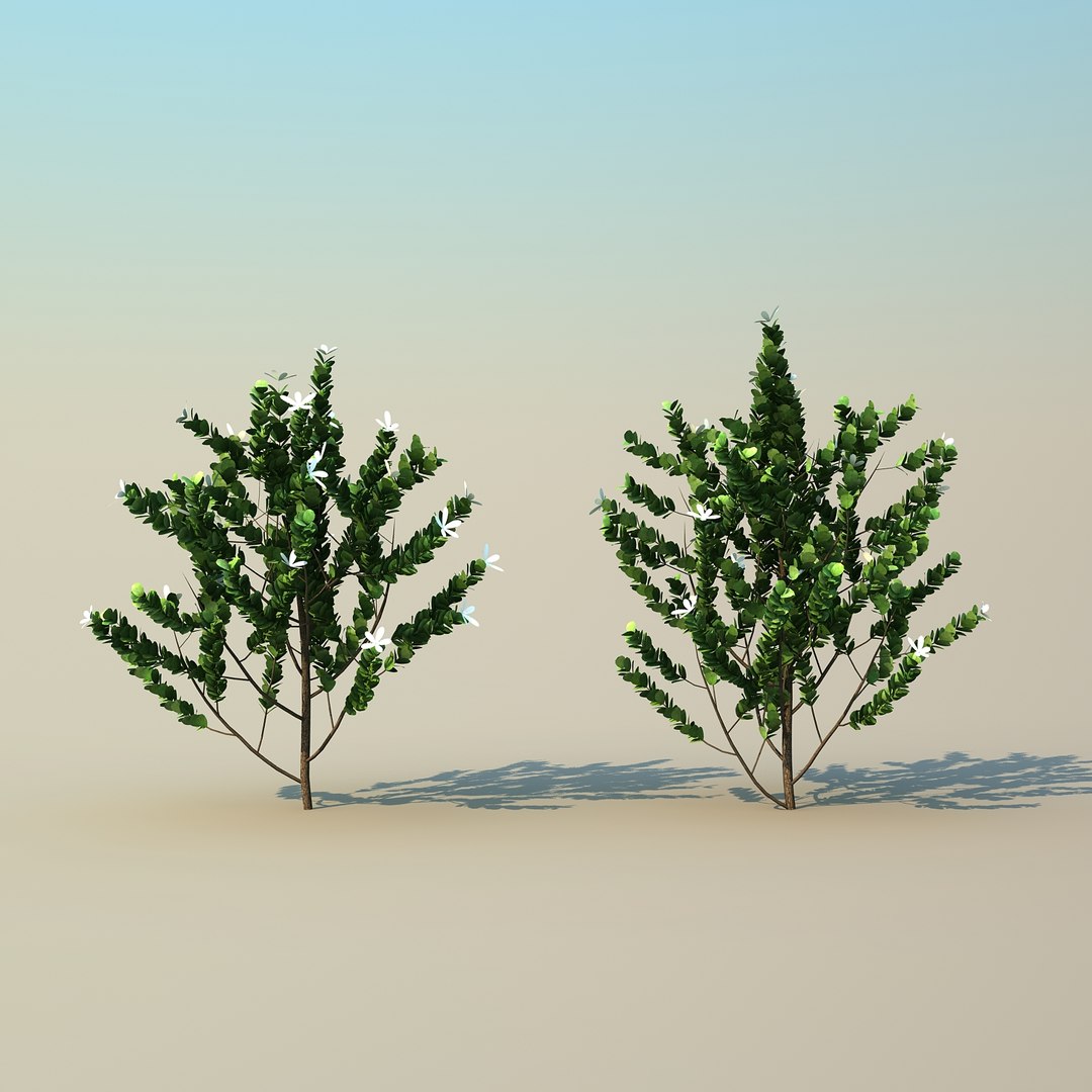 3d model tree scatter