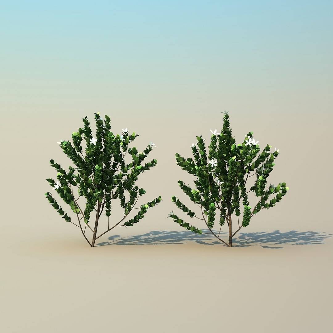 3d model tree scatter