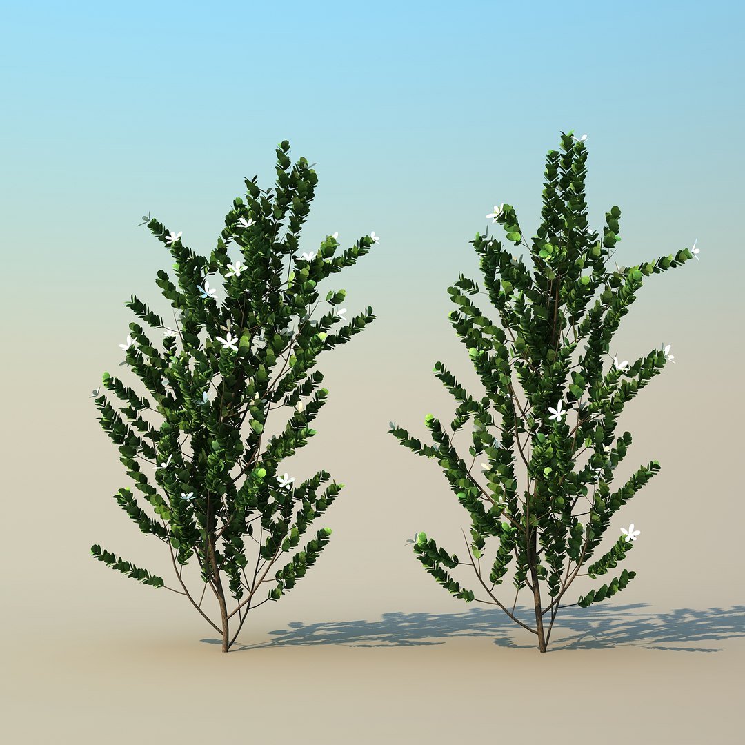 3d model tree scatter