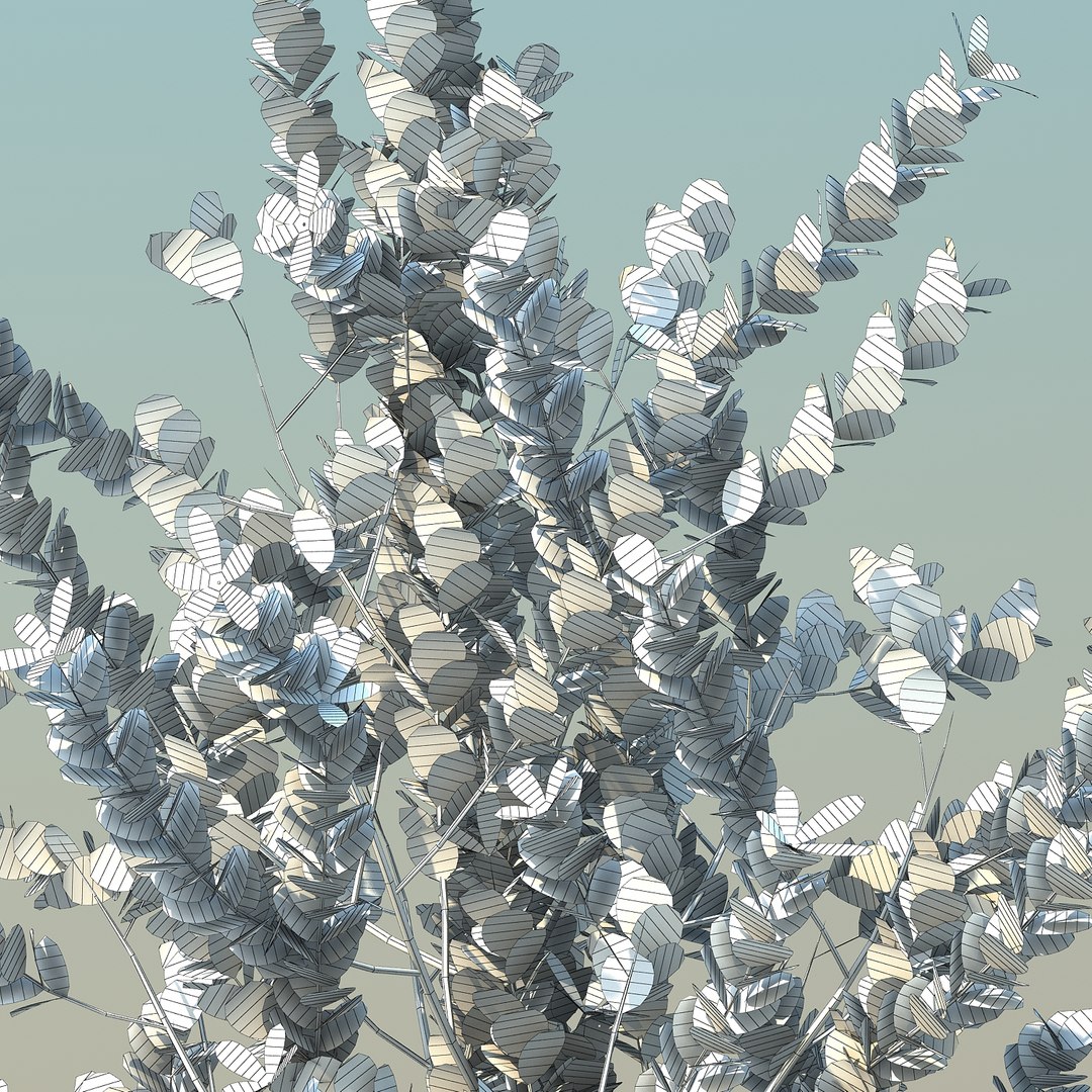 3d model tree scatter