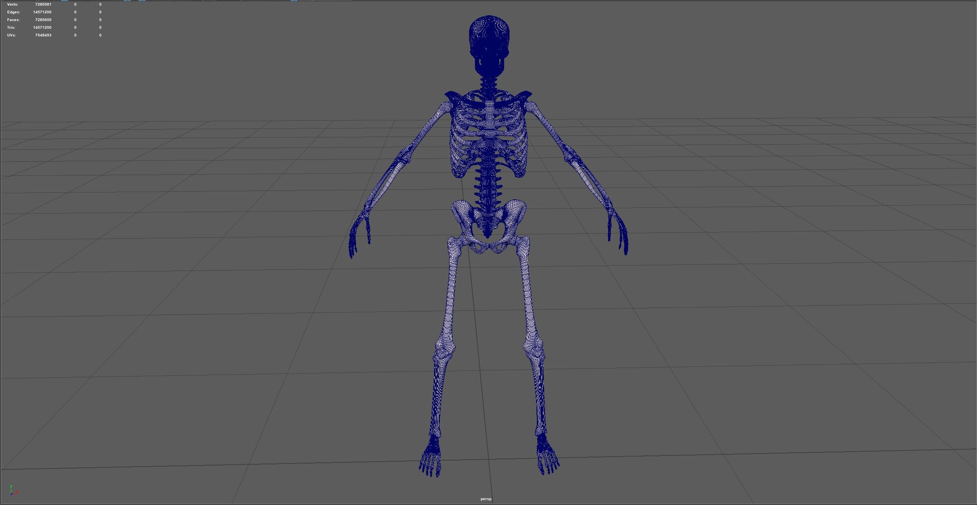 3D Model Skeleton - TurboSquid 1833265