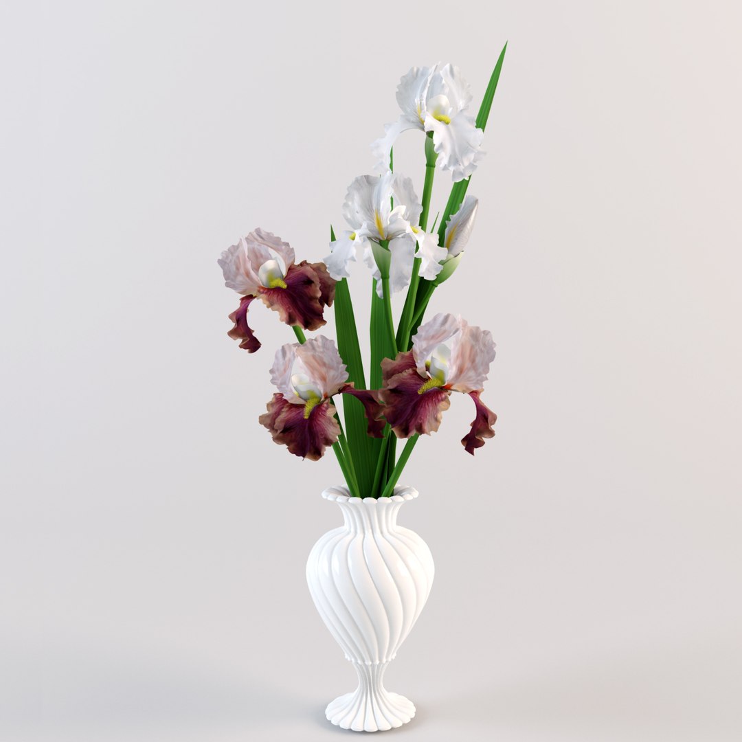 Bouquet Irises Vase 3d Model