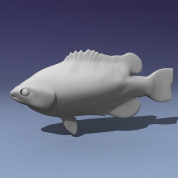 fish 3d model