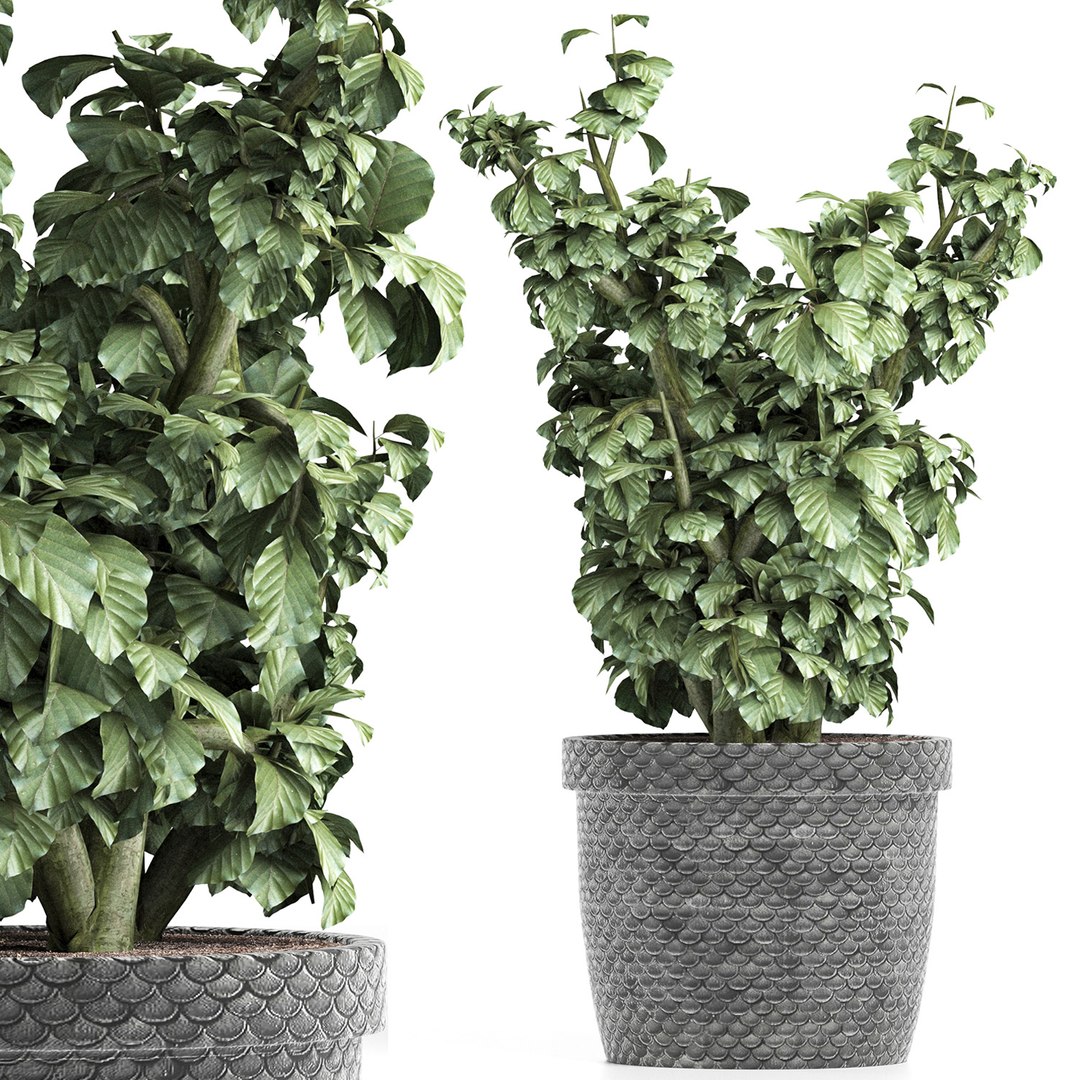 3D Tree Plant - TurboSquid 1685044